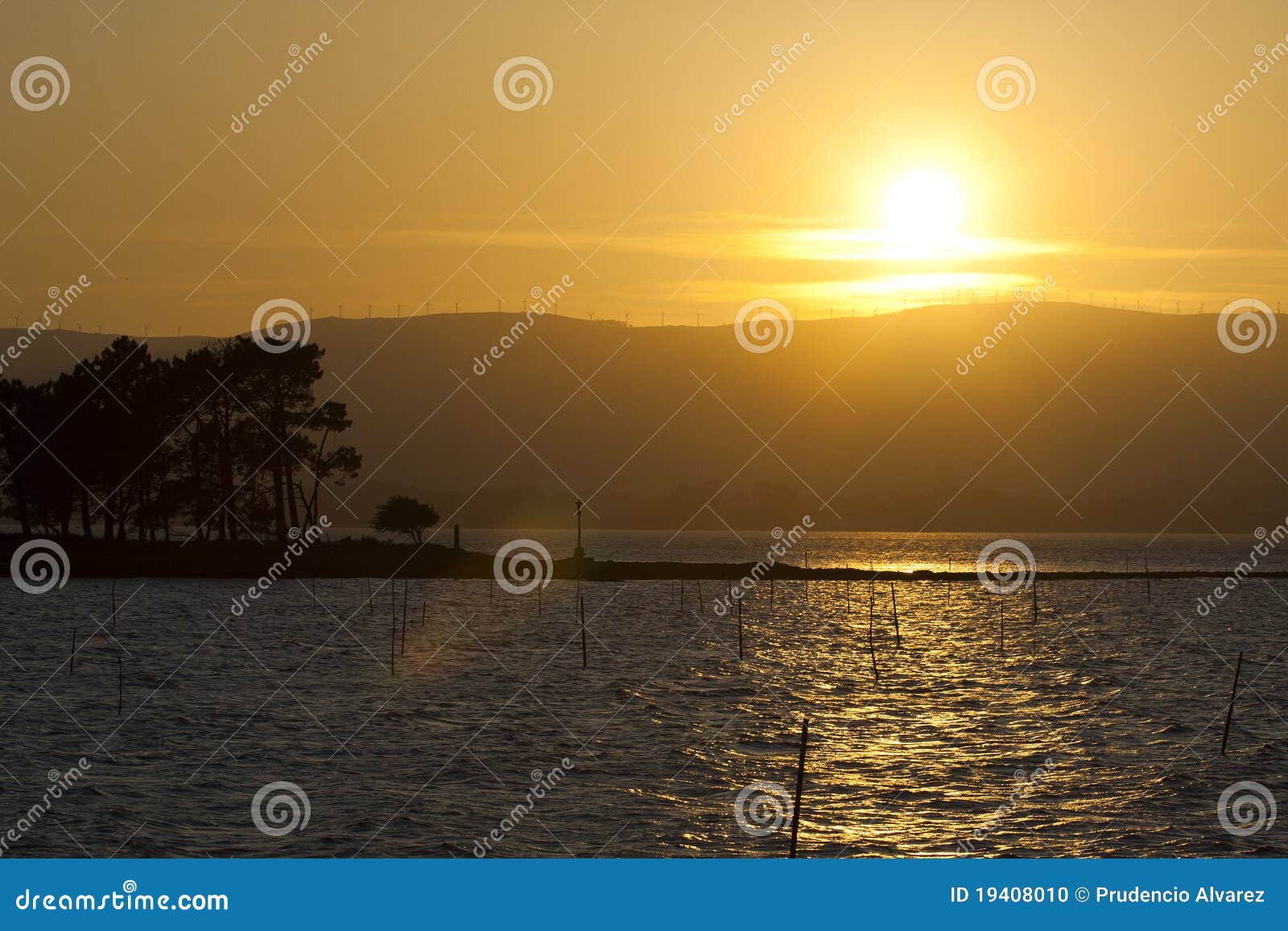 Holiday at sea stock photo. Image of golden, nature, palm - 19408010