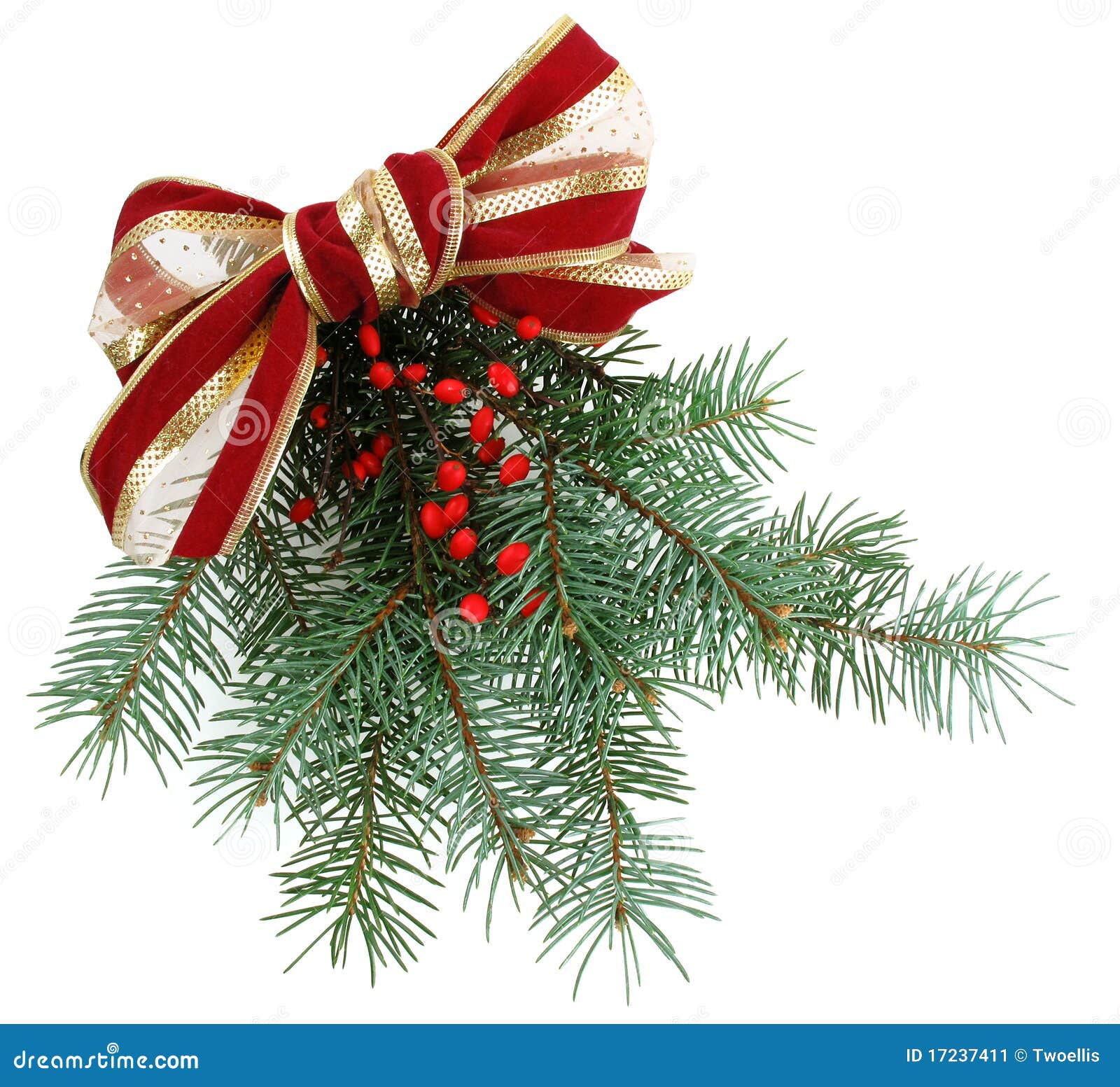 Holiday Sprig stock image. Image of spruce, branch, twig - 17237411