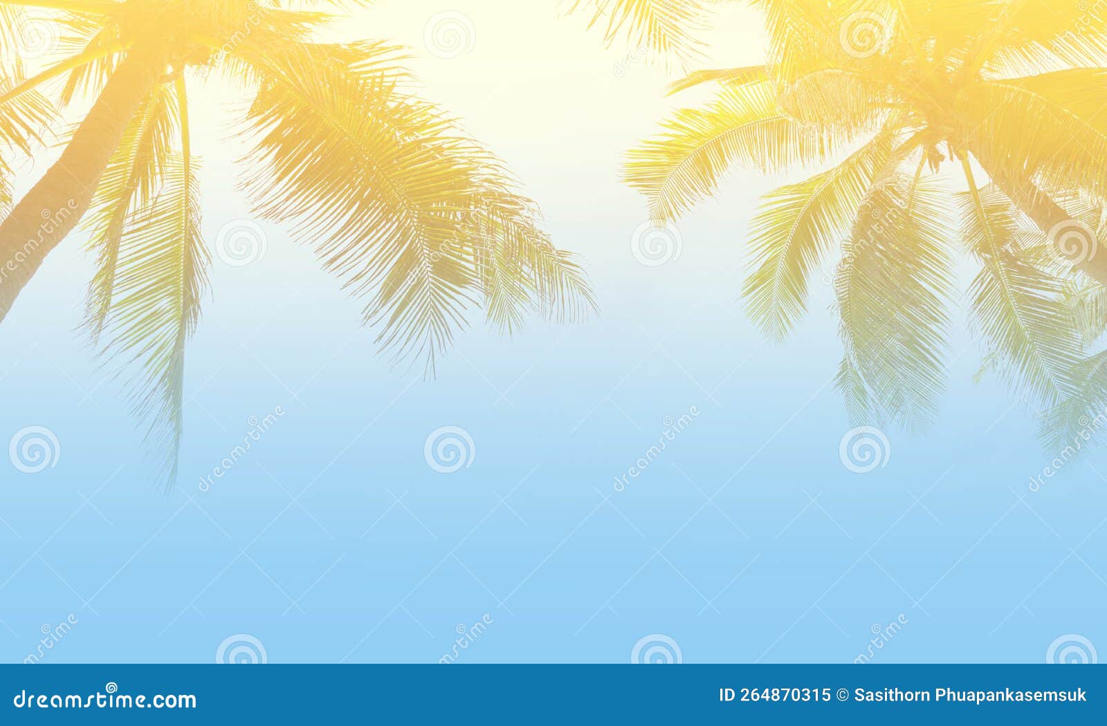Summer with Colorful Theme As Palm Trees Background As Texture Frame ...