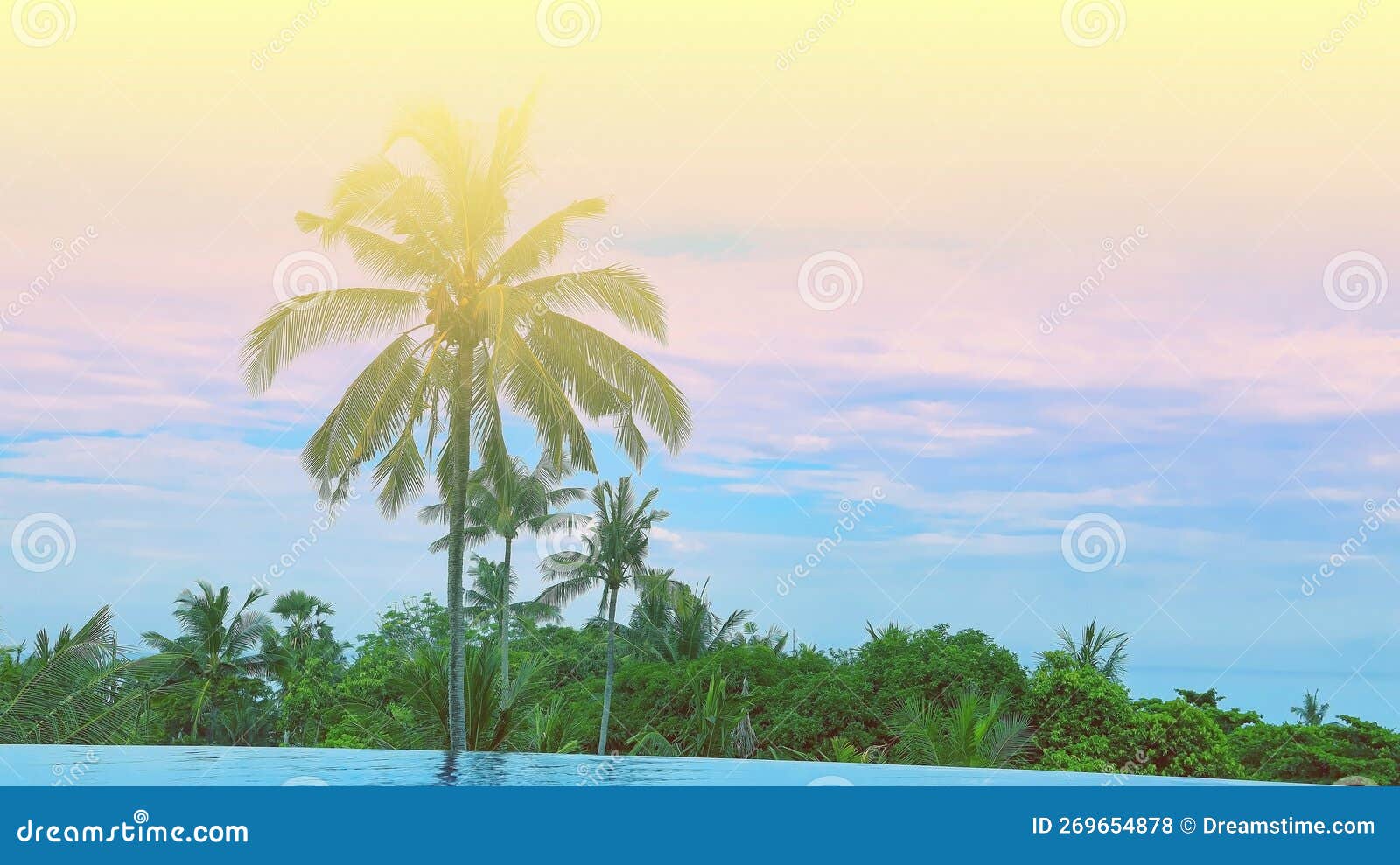 The Holiday of Summer with Colorful Theme As Palm Trees Background ...