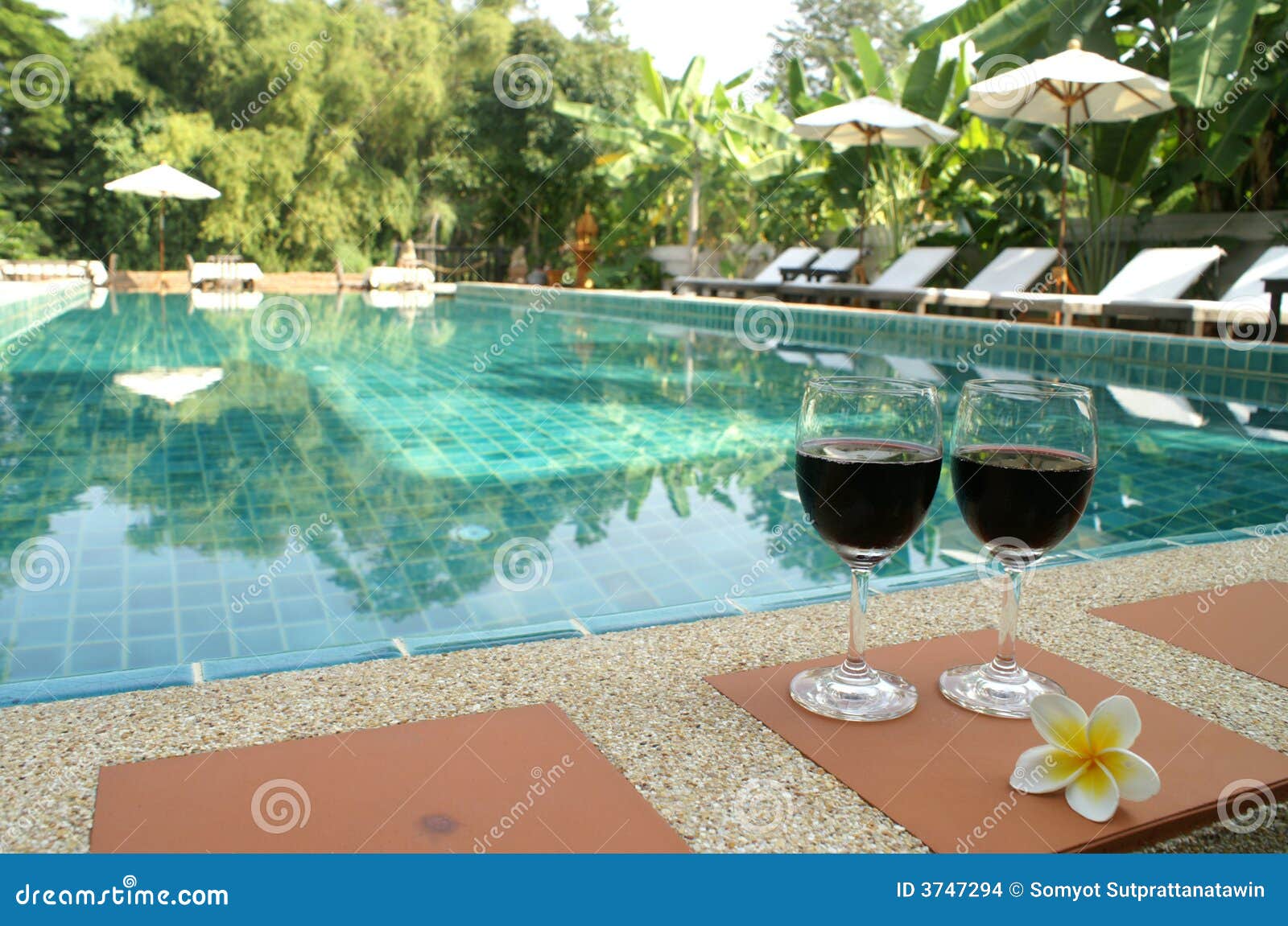 755 Red Wine Swimming Pool Photos - Free & Royalty-Free Stock Photos ...