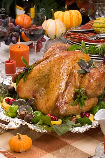 Holiday turkey stock photo. Image of stuffing, cook, cooked - 5466046