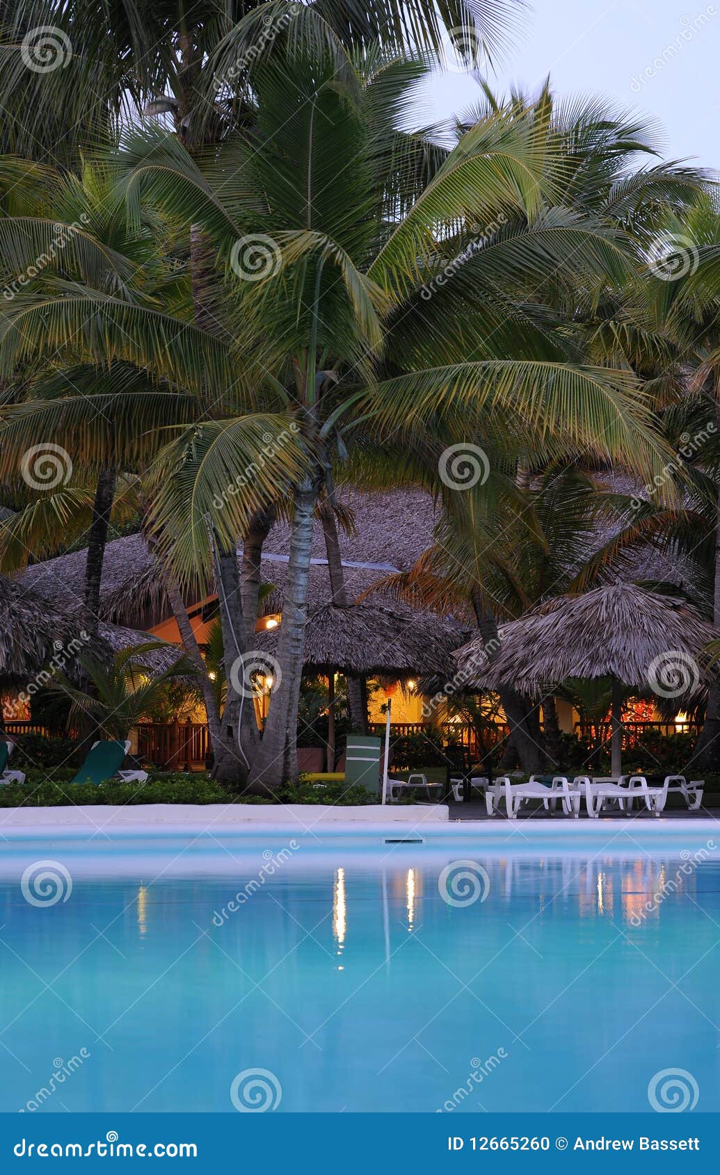 Holiday Vacation Resort Bar at Night Stock Photo - Image of area, dark ...