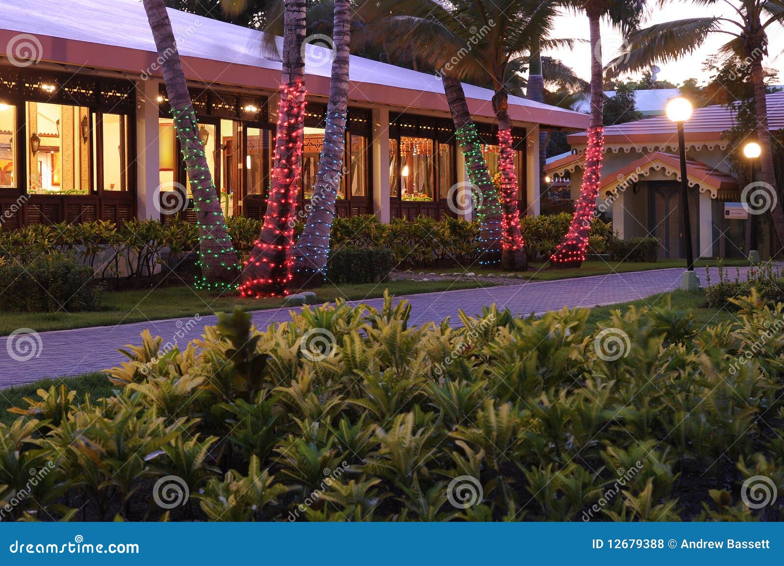 Holiday Vacation Resort at Night Stock Photo - Image of palm, summer ...