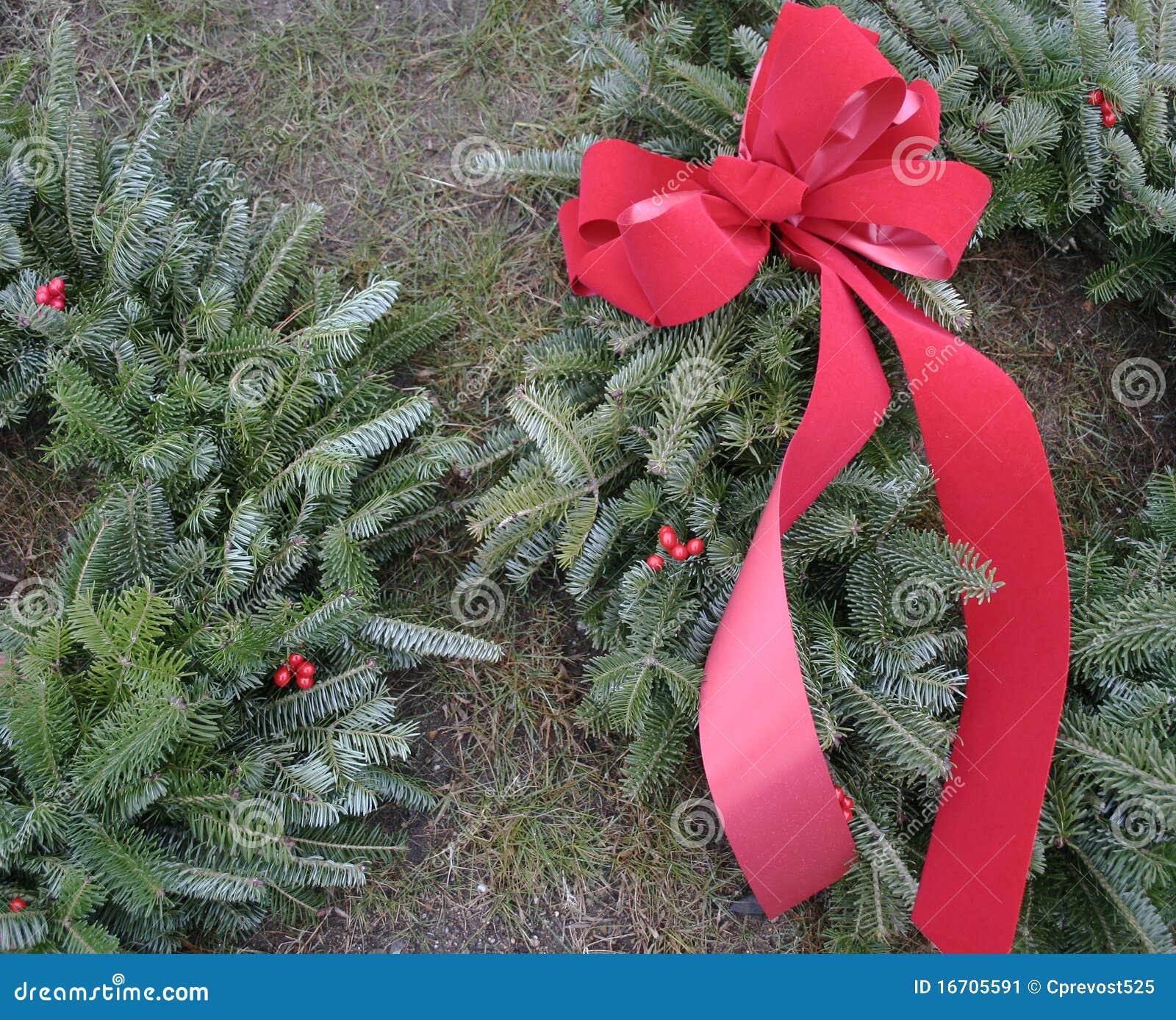 Holiday Wreaths with Red Ribbon Stock Image - Image of wreath, happy ...
