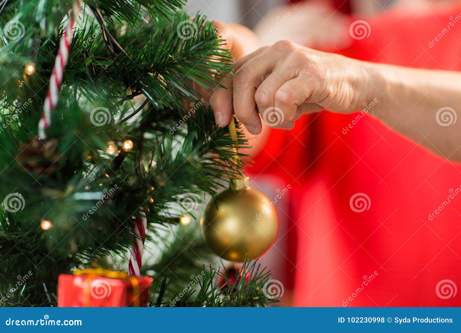 Close Up of Senior Woman Decorating Christmas Tree Stock Photo - Image ... Close Up of Senior Woman Decorating Christmas Tree Stock Photo - Image ...