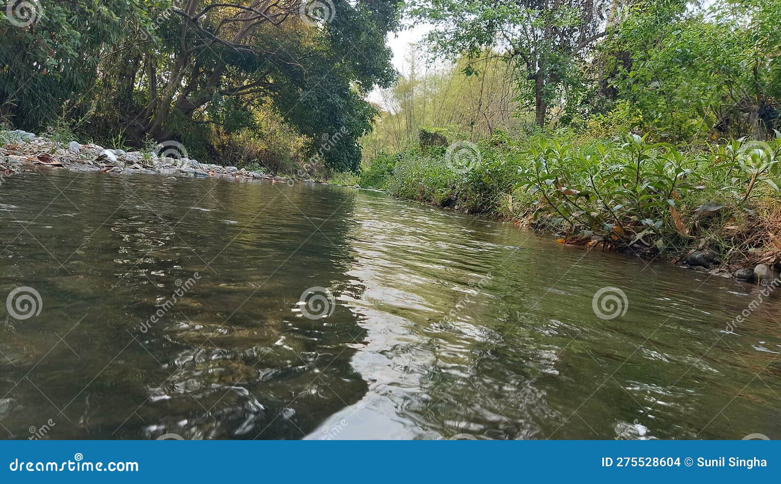 Holiya Small River of Udalguri District Assam Stock Photo - Image of ...