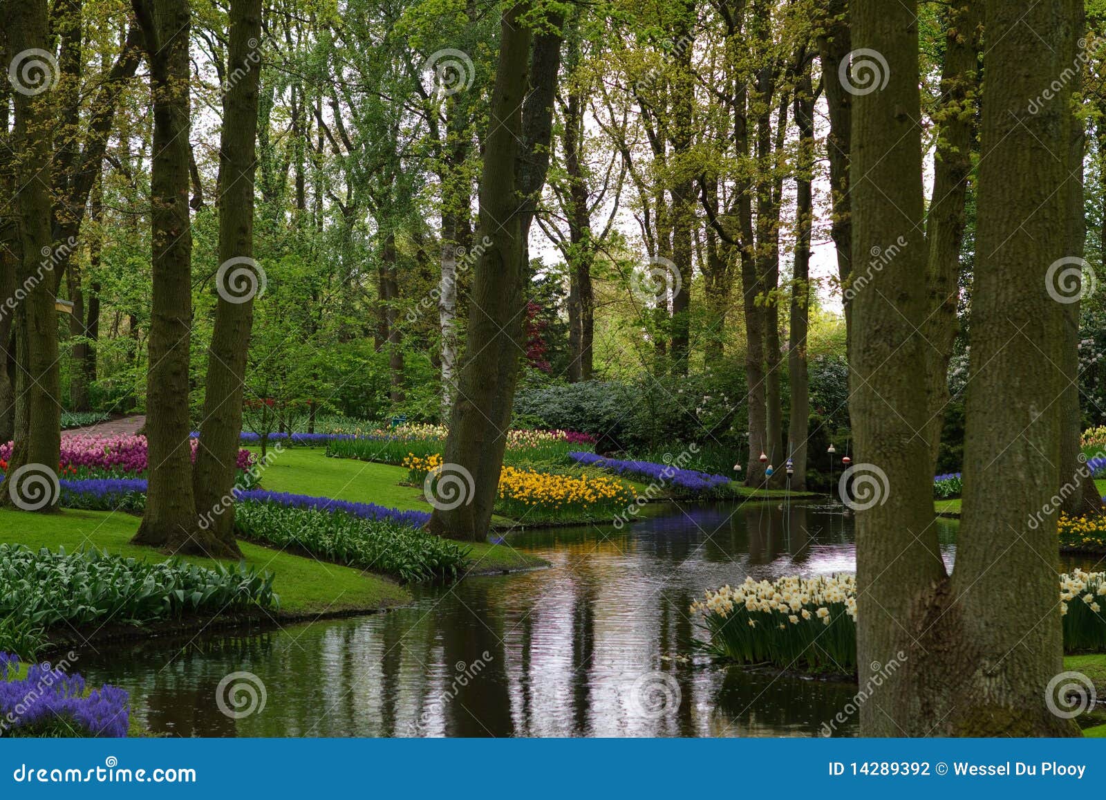 Holland in spring stock photo. Image of amsterdam, dutch - 14289392