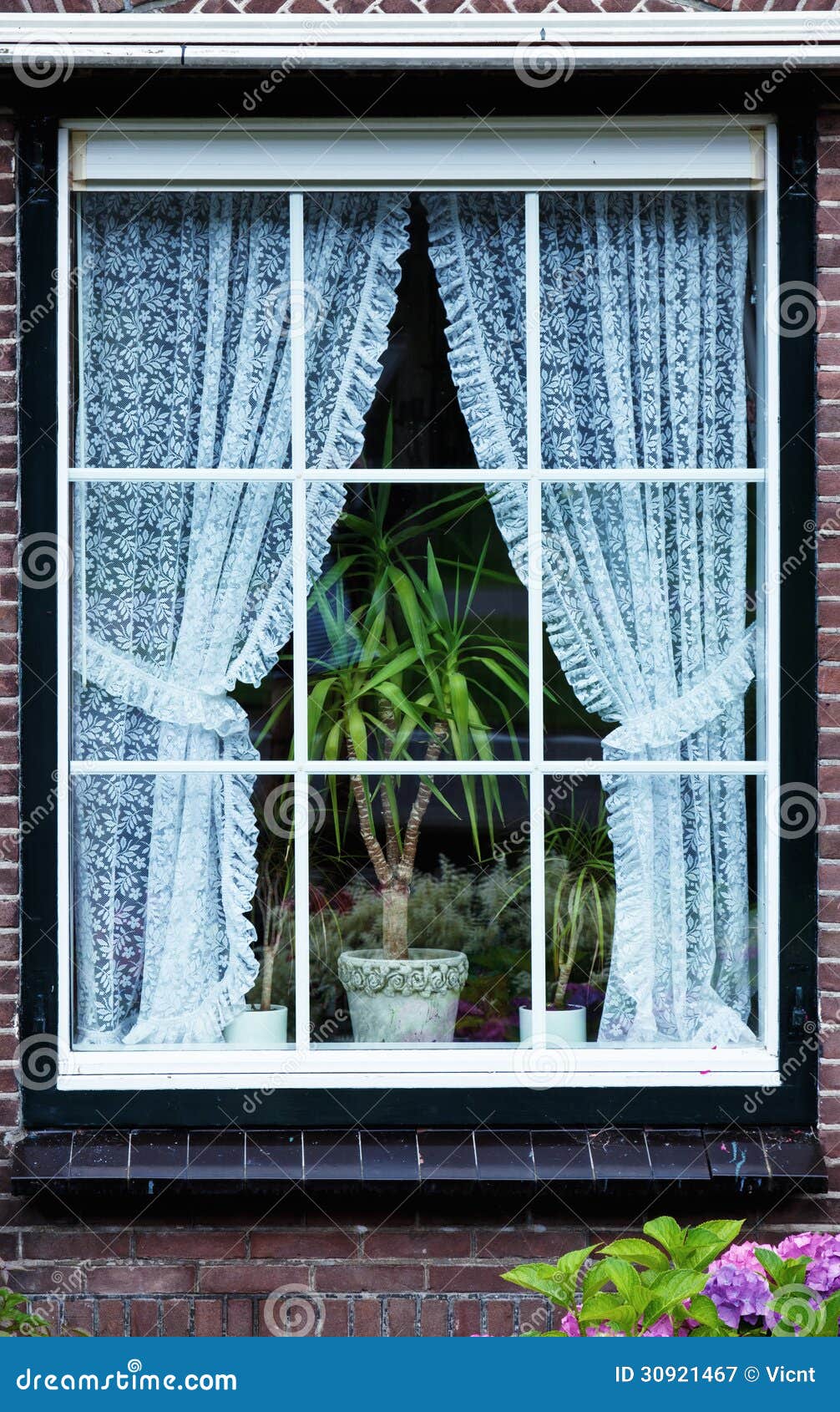 Holland Window stock image. Image of curtain, window - 30921467