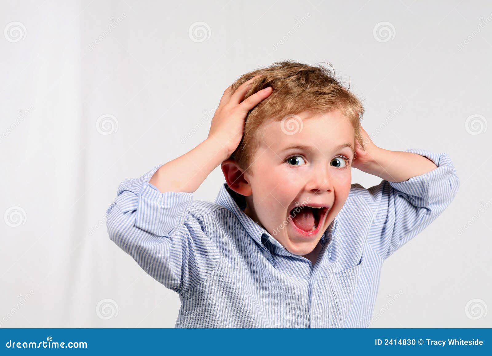 Holler stock photo. Image of funny, portrait, person, model - 2414830