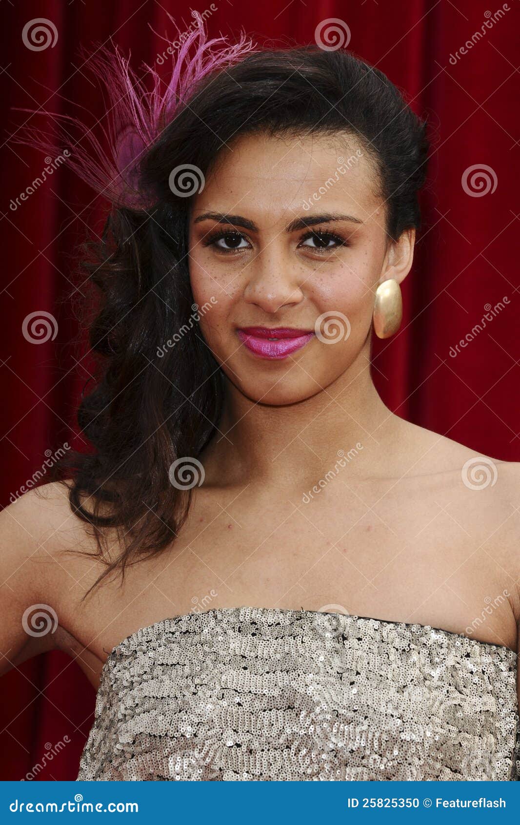 Hollies editorial image. Image of british, quin, arrives - 25825350