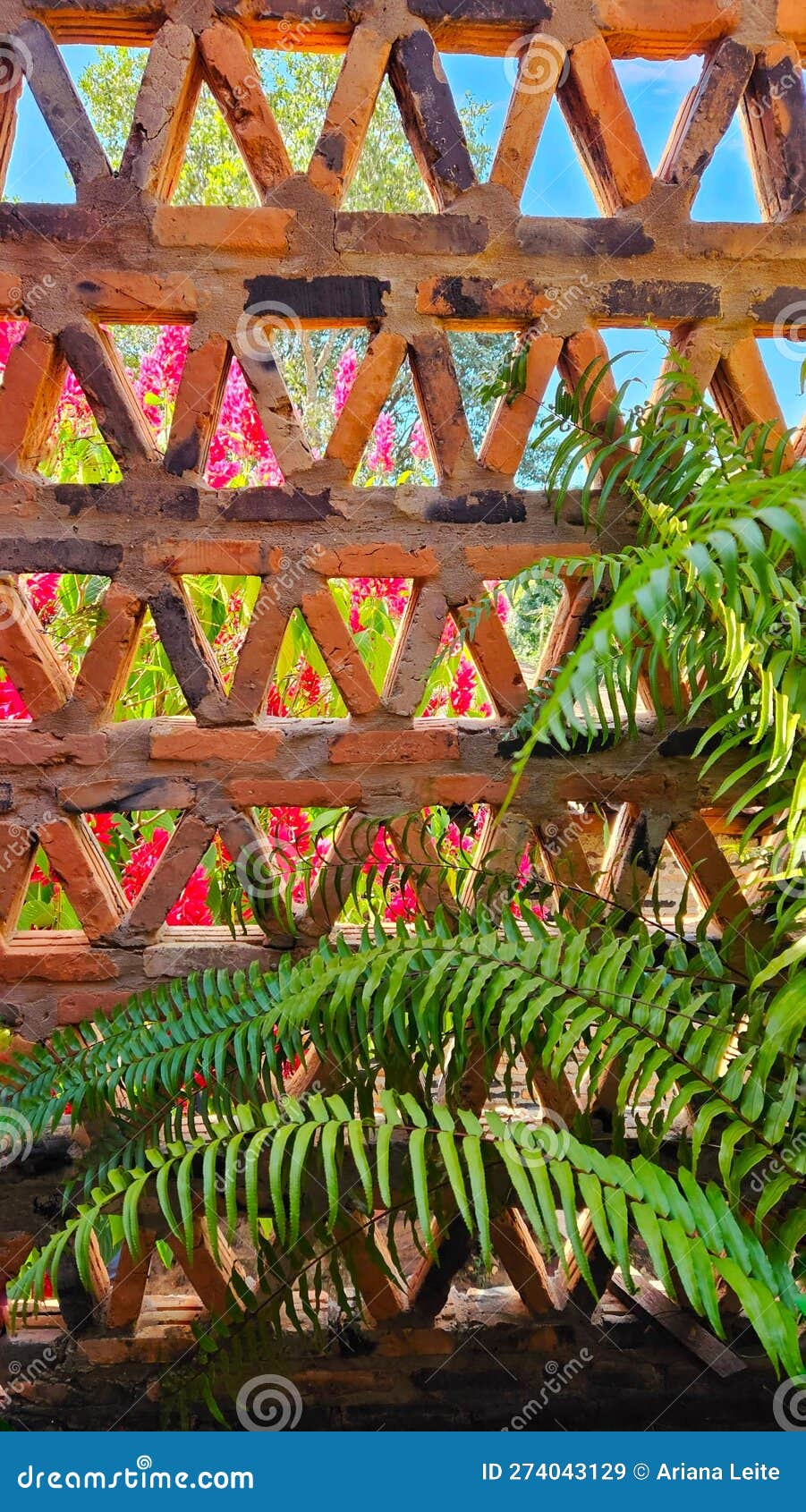 Hollow Terracotta Bricks For The Construction Of Walls In Cement Houses ...