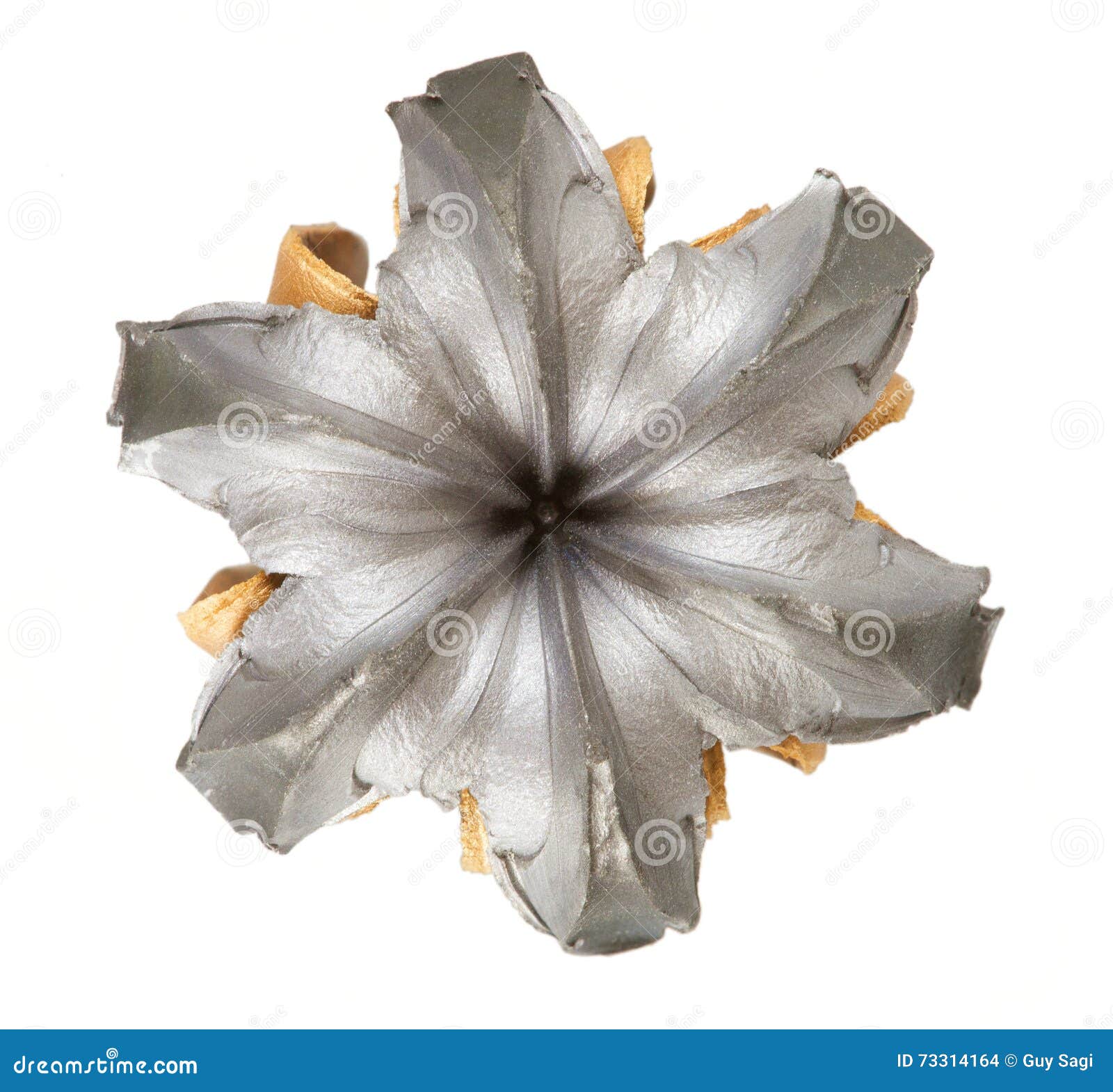 Hollow point stock photo. Image of point, projectile - 73314164