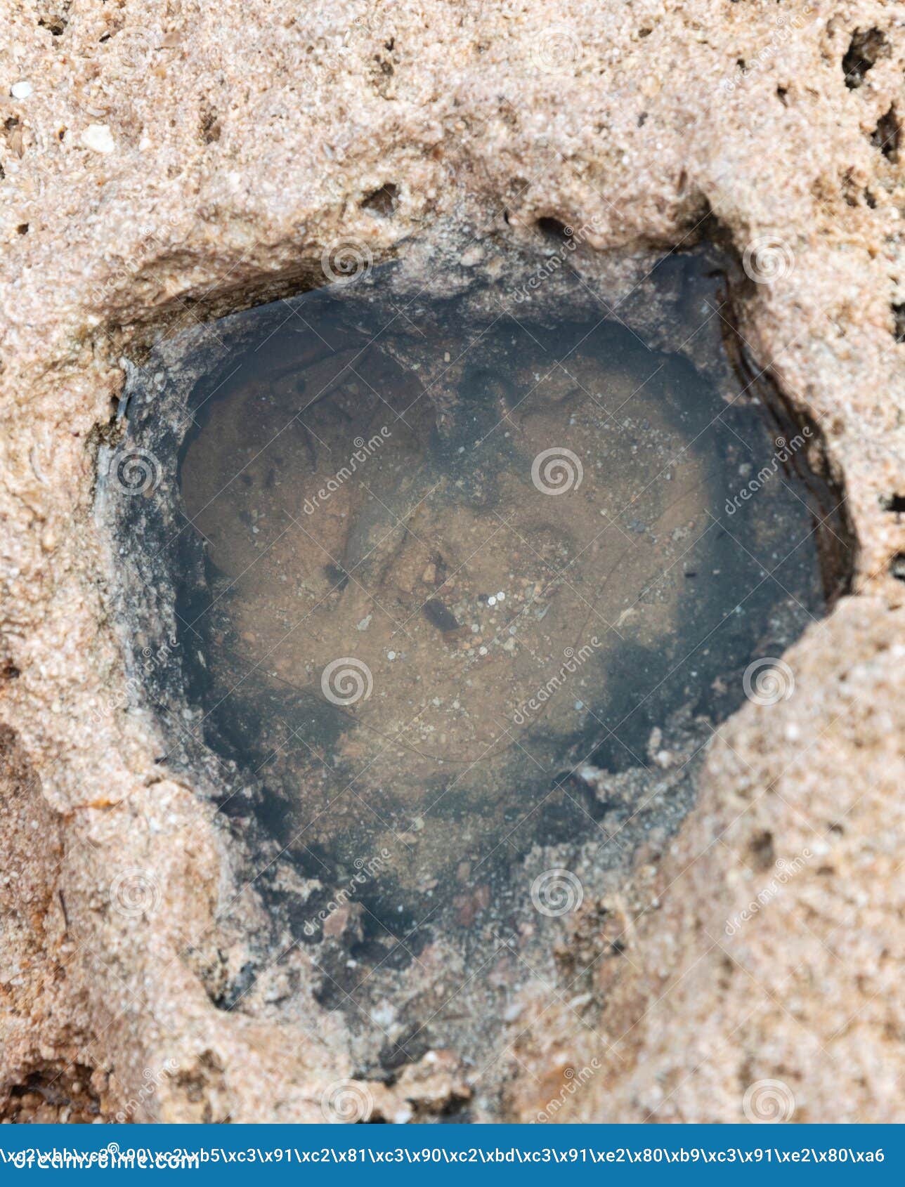 A Hollow in the Stone in the Form of a Heart Filled with Water Stock ...