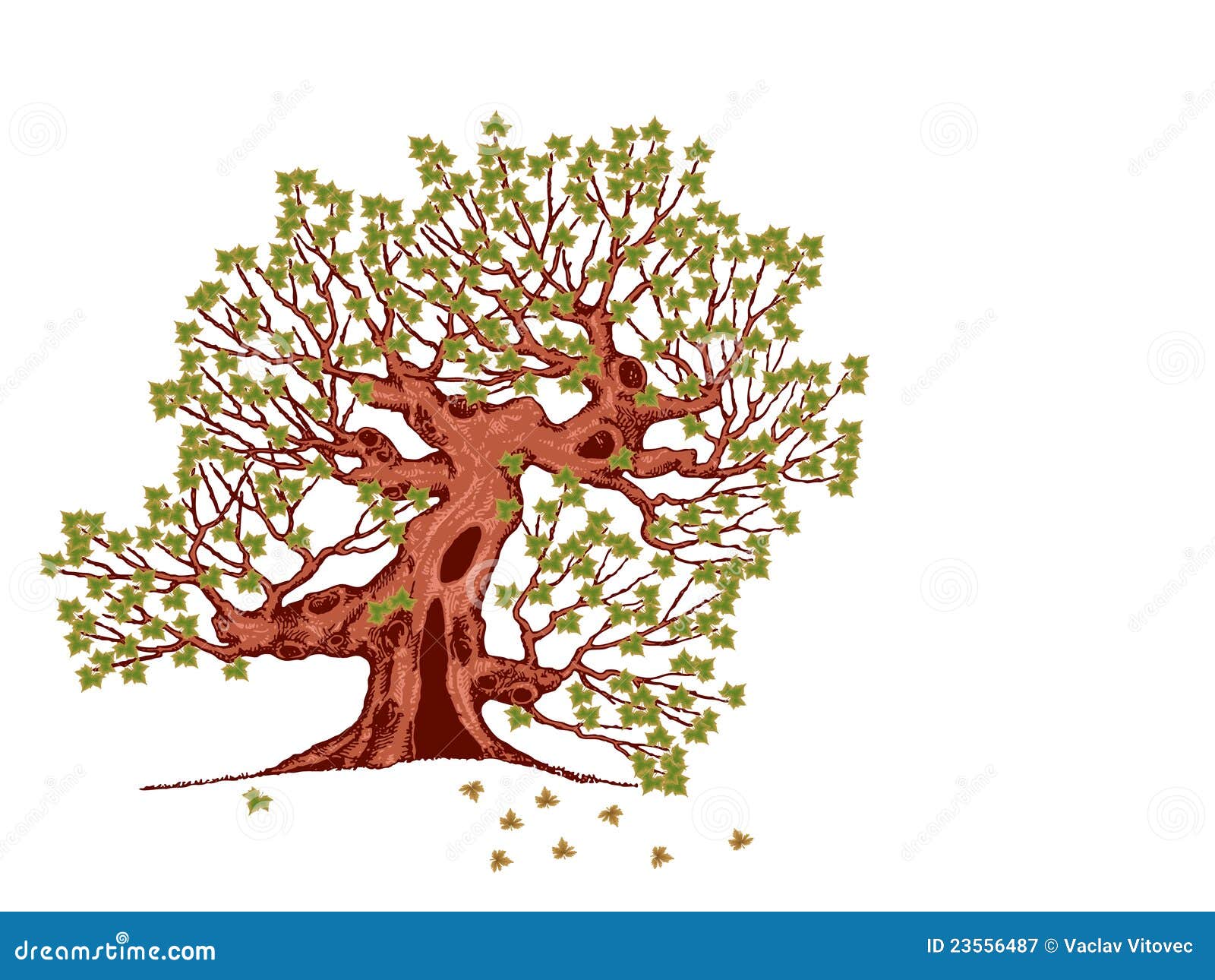 Hollow tree stock vector. Illustration of plants, graphic - 23556487