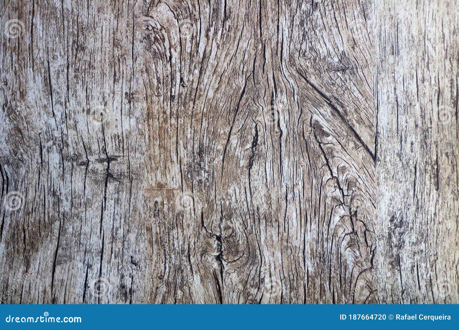 Hollow Wood Abstract Background with Old Characteristics Stock Photo ...