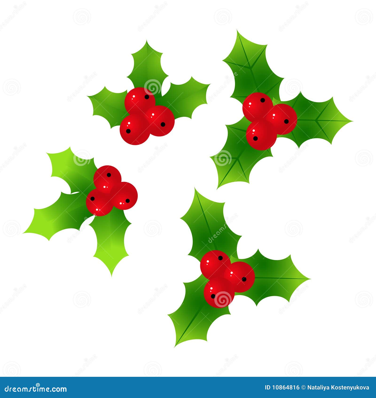 Holly stock vector. Illustration of december, objects - 10864816