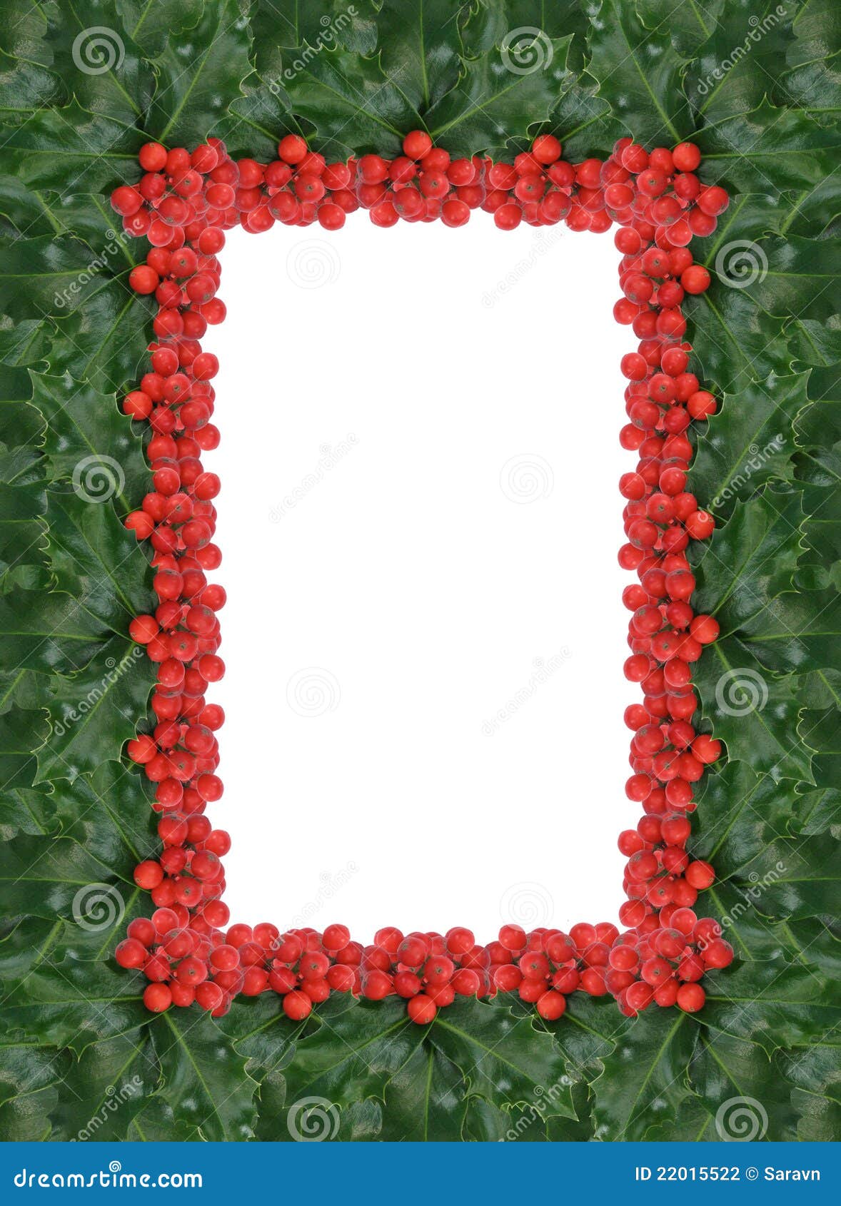 Holly Berry Frame Background Stock Photo - Image of frame, holiday ...
