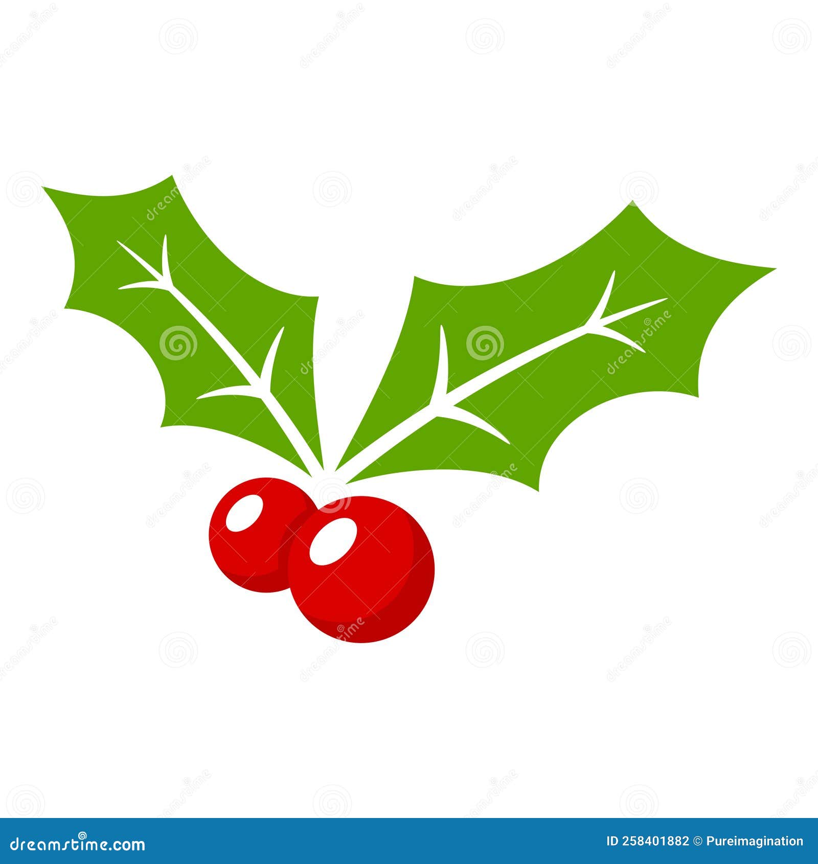 Holly Berry Isolated on White Background Stock Vector - Illustration of ...