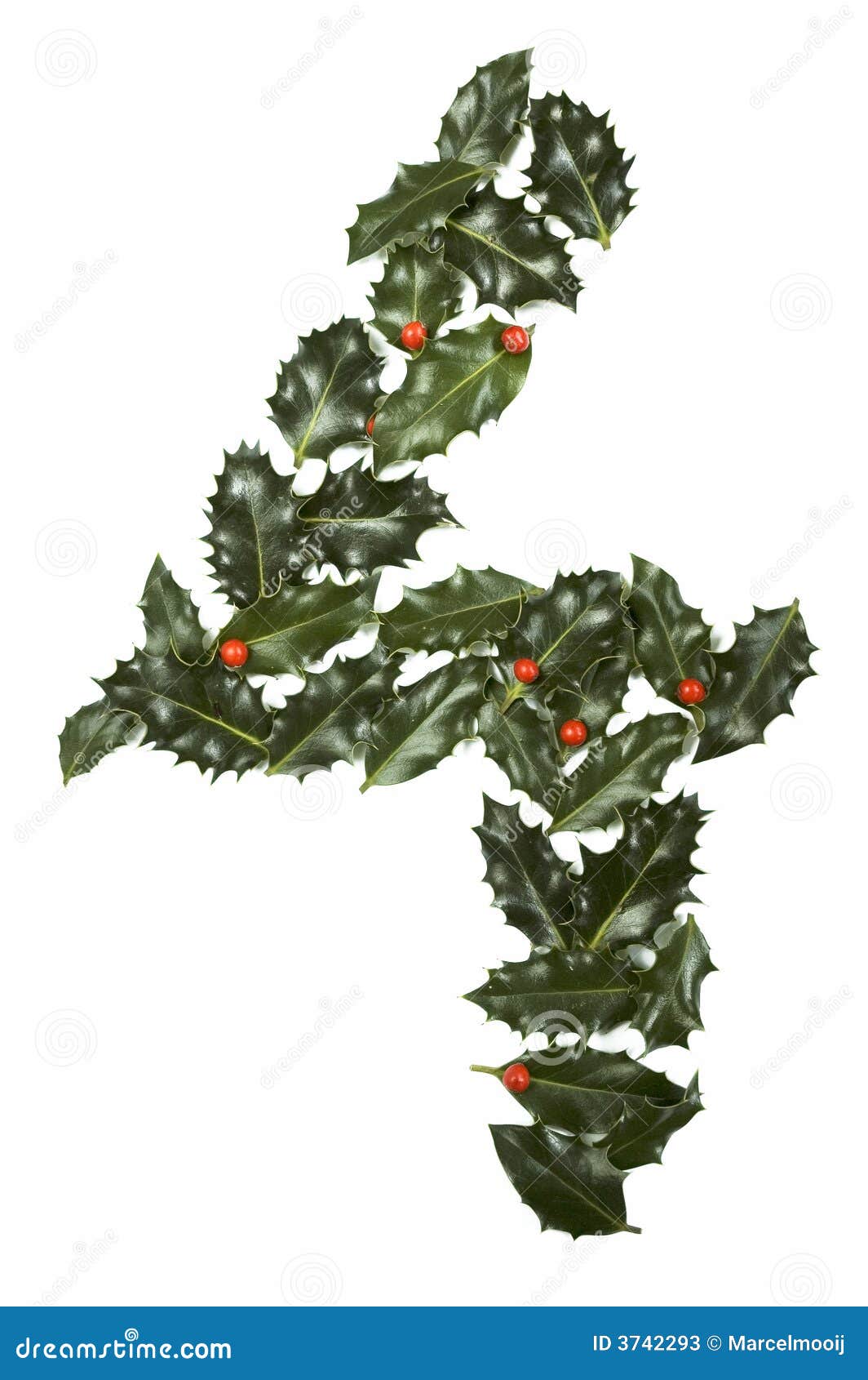 Holly with Berry Number Four Stock Image - Image of nature, plant: 3742293