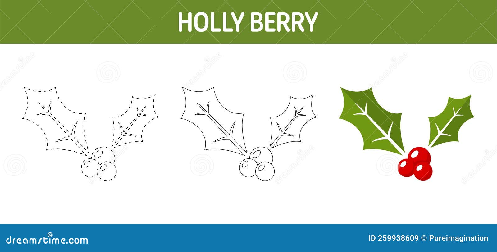 Holly Berry Tracing and Coloring Worksheet for Kids Stock Vector ...