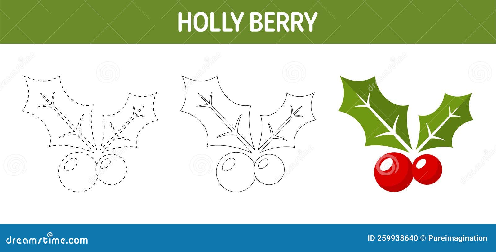 Holly Berry Tracing and Coloring Worksheet for Kids Stock Vector ...