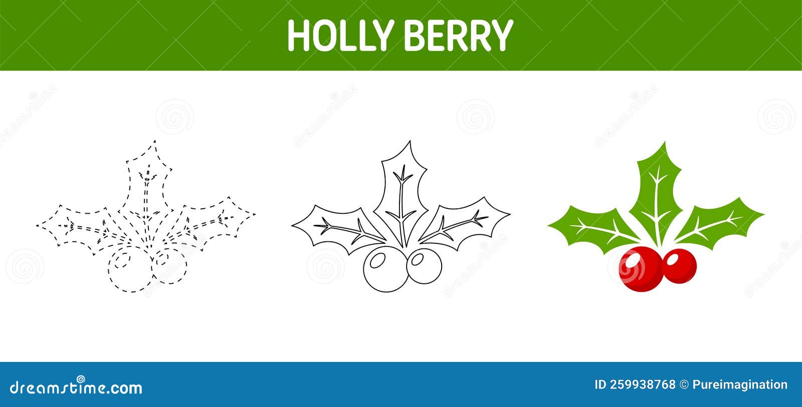 Holly Berry Tracing and Coloring Worksheet for Kids Stock Vector ...