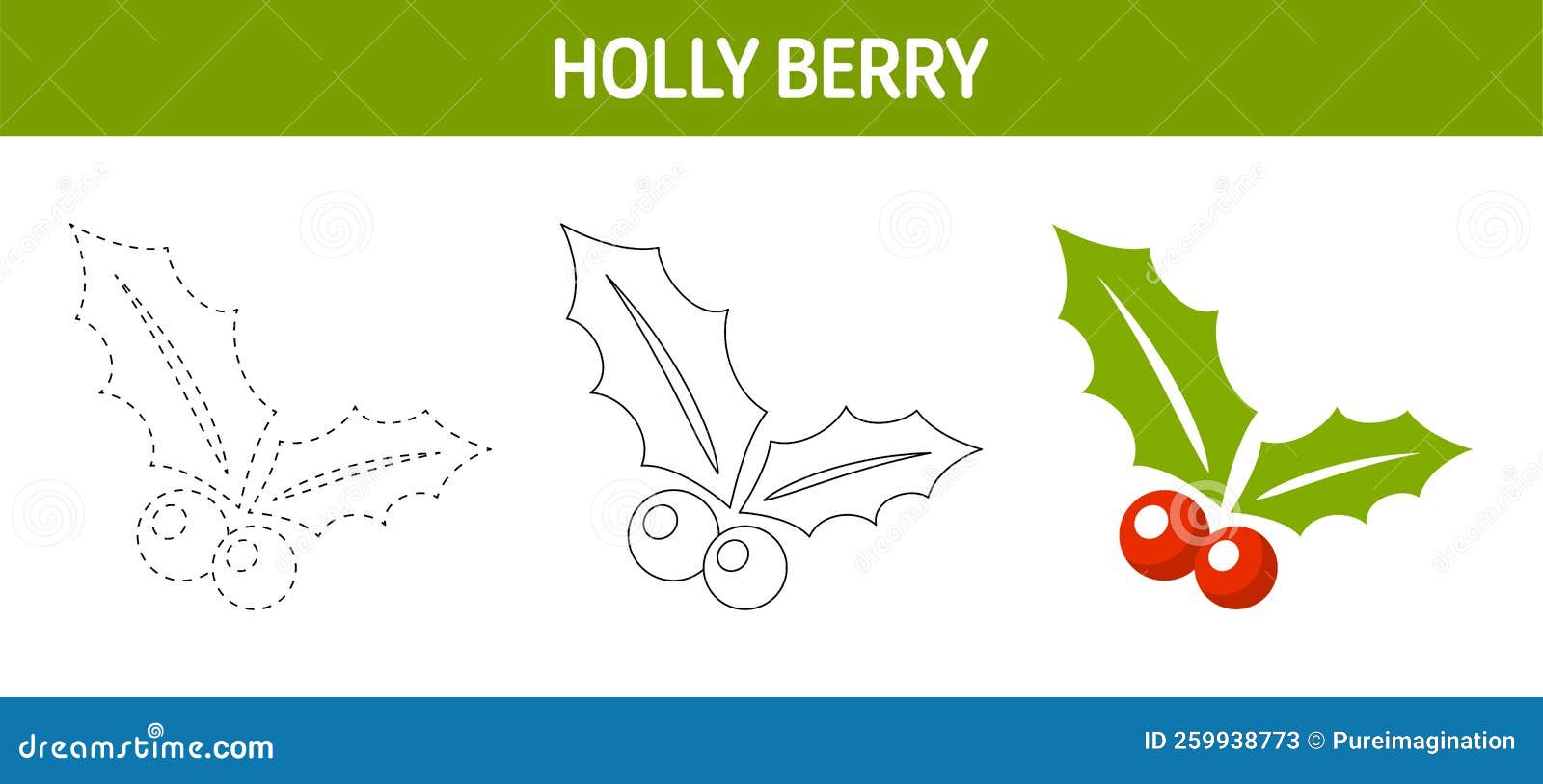 Holly Berry Tracing and Coloring Worksheet for Kids Stock Vector ...