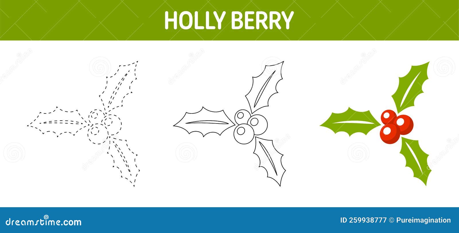 Holly Berry Tracing and Coloring Worksheet for Kids Stock Vector ...
