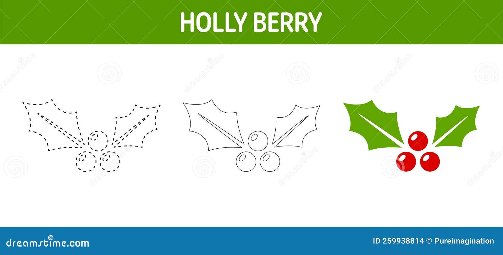 Holly Berry Tracing and Coloring Worksheet for Kids Stock Vector ...