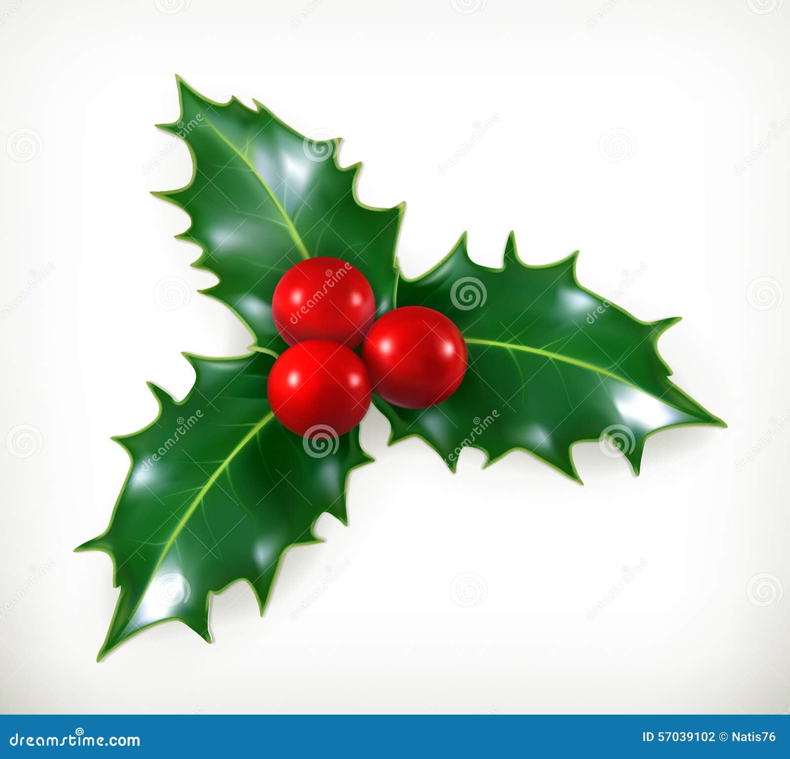 Holly, Christmas Decoration Stock Vector - Illustration of eps10 ...