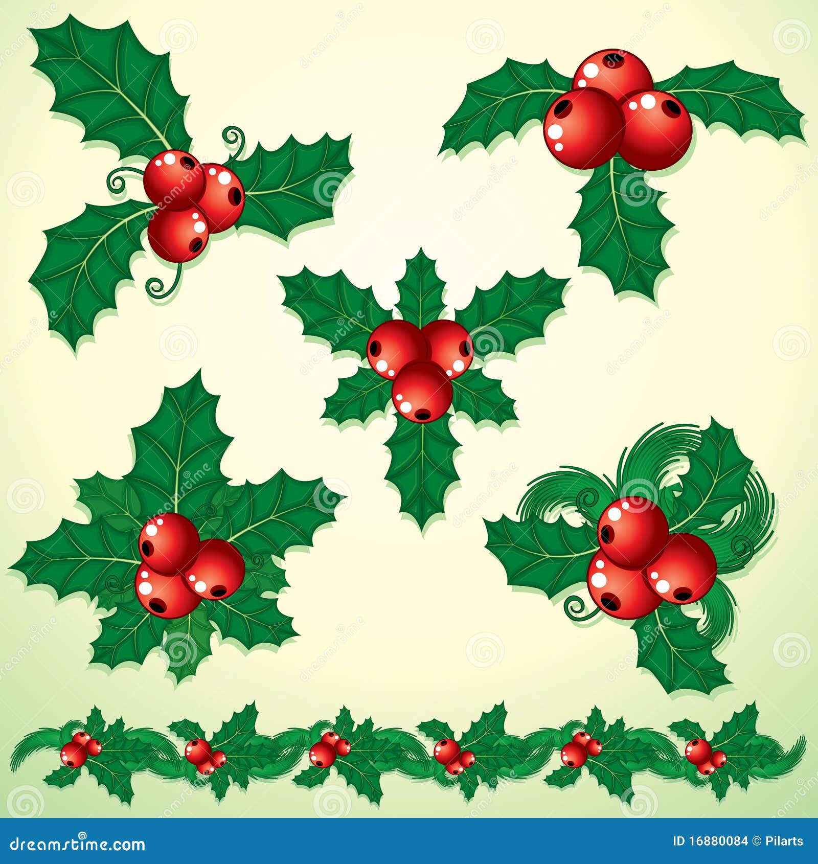 Holly Decoration stock vector. Illustration of berry - 16880084