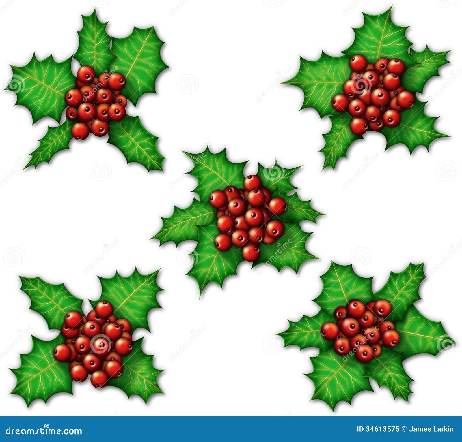 Holly stock illustration. Illustration of decor, plant - 34613575