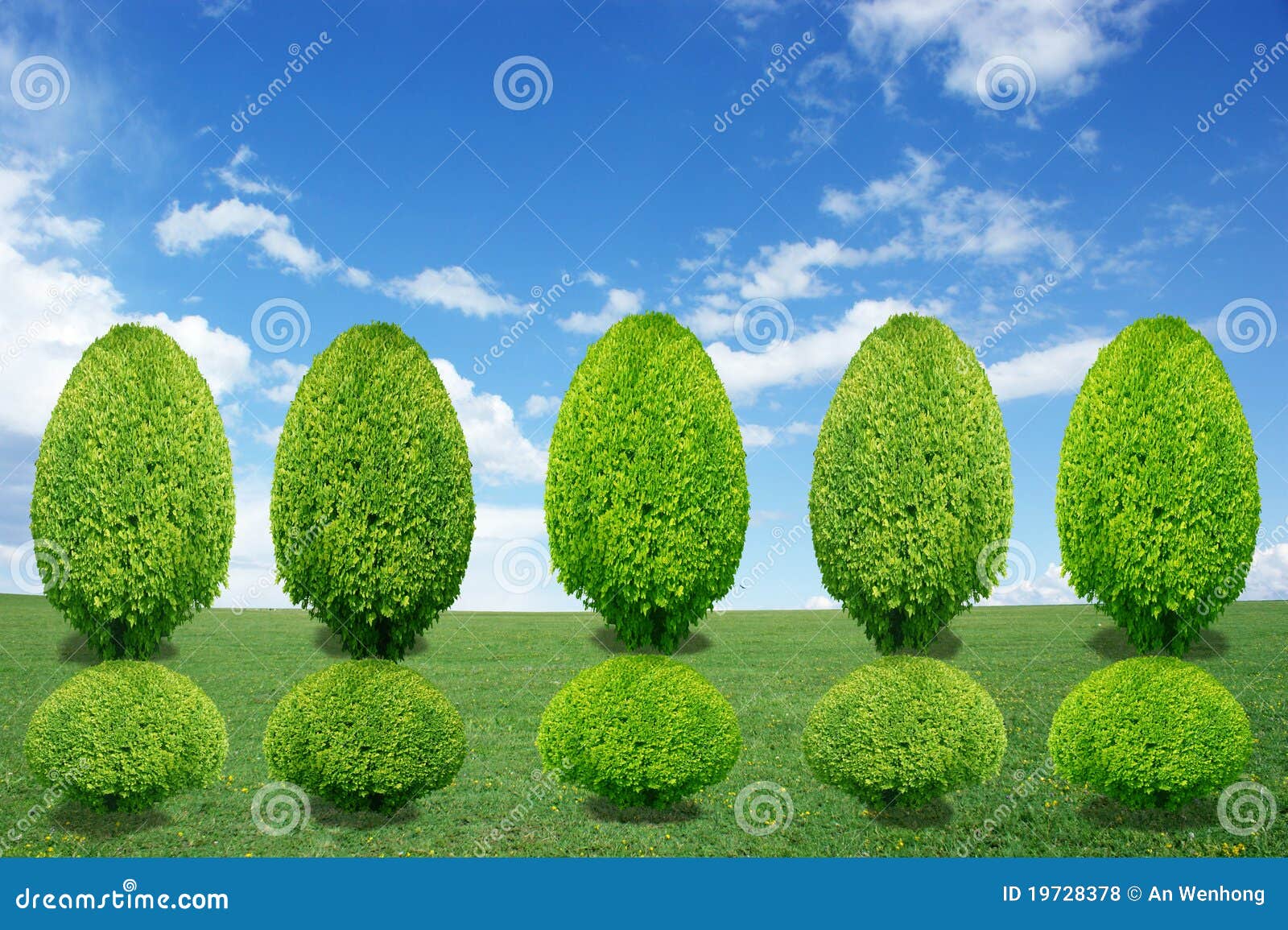 Holly on the grass stock photo. Image of shape, seasons - 19728378