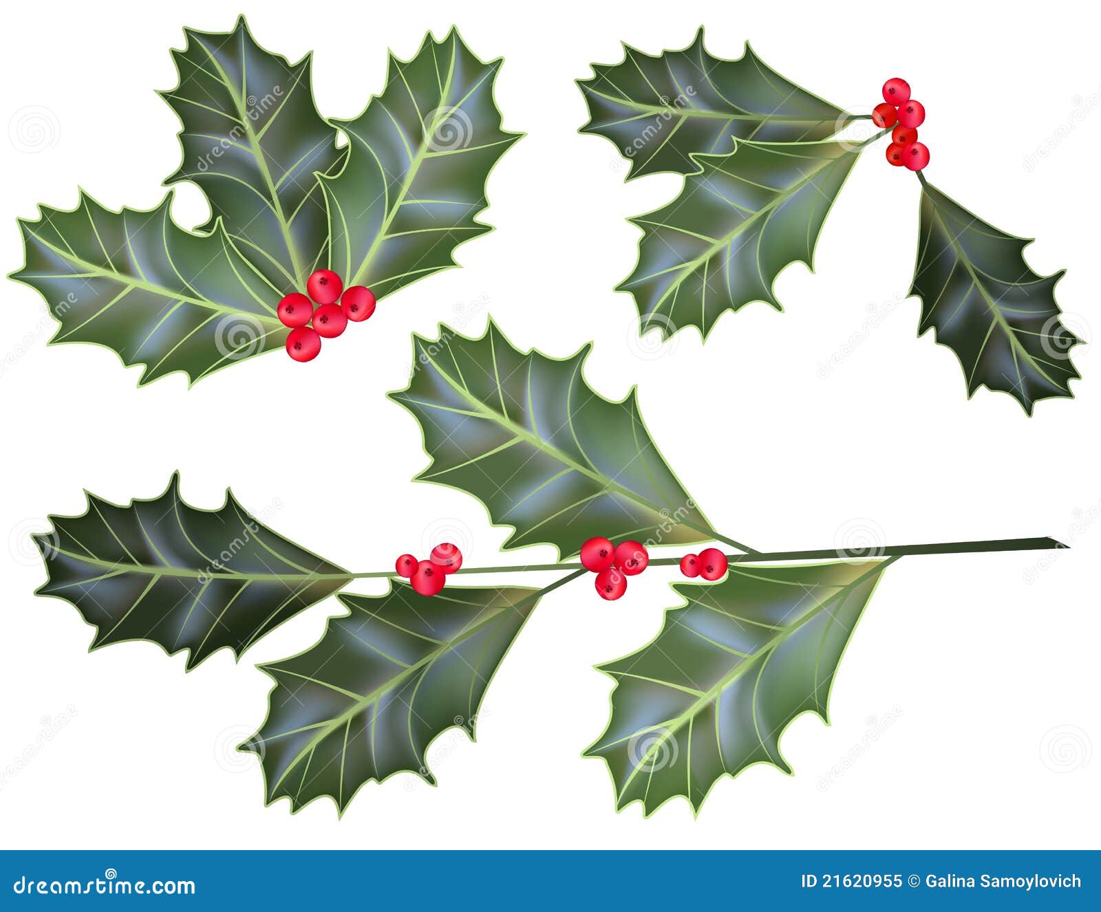 Holly Bush Clip Art