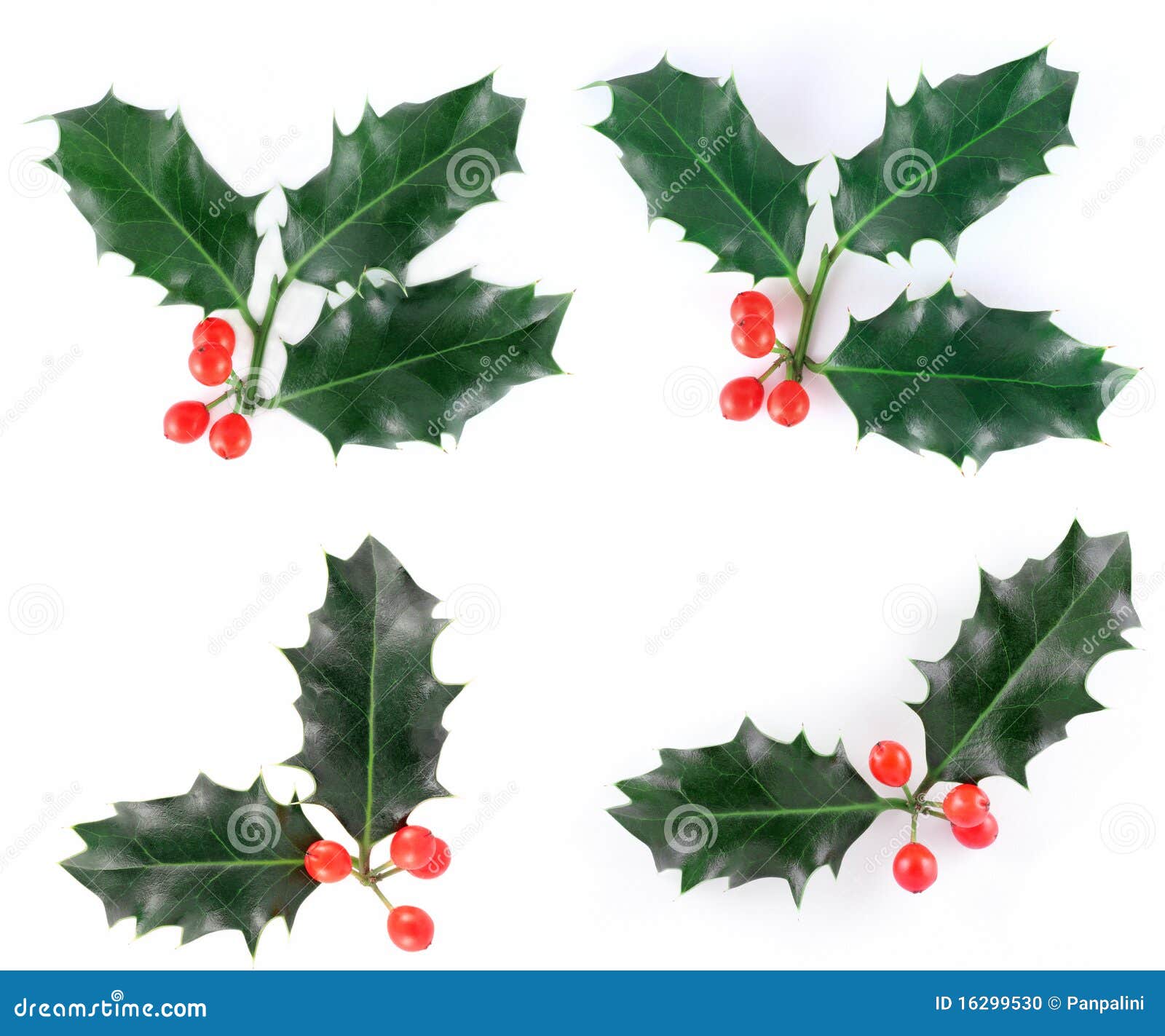 Holly Objects Set stock photo. Image of green, greeting - 16299530