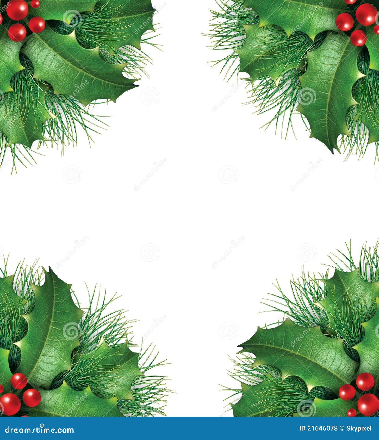 Holly with Pine Branches Seasonal Border Frame Stock Illustration ...