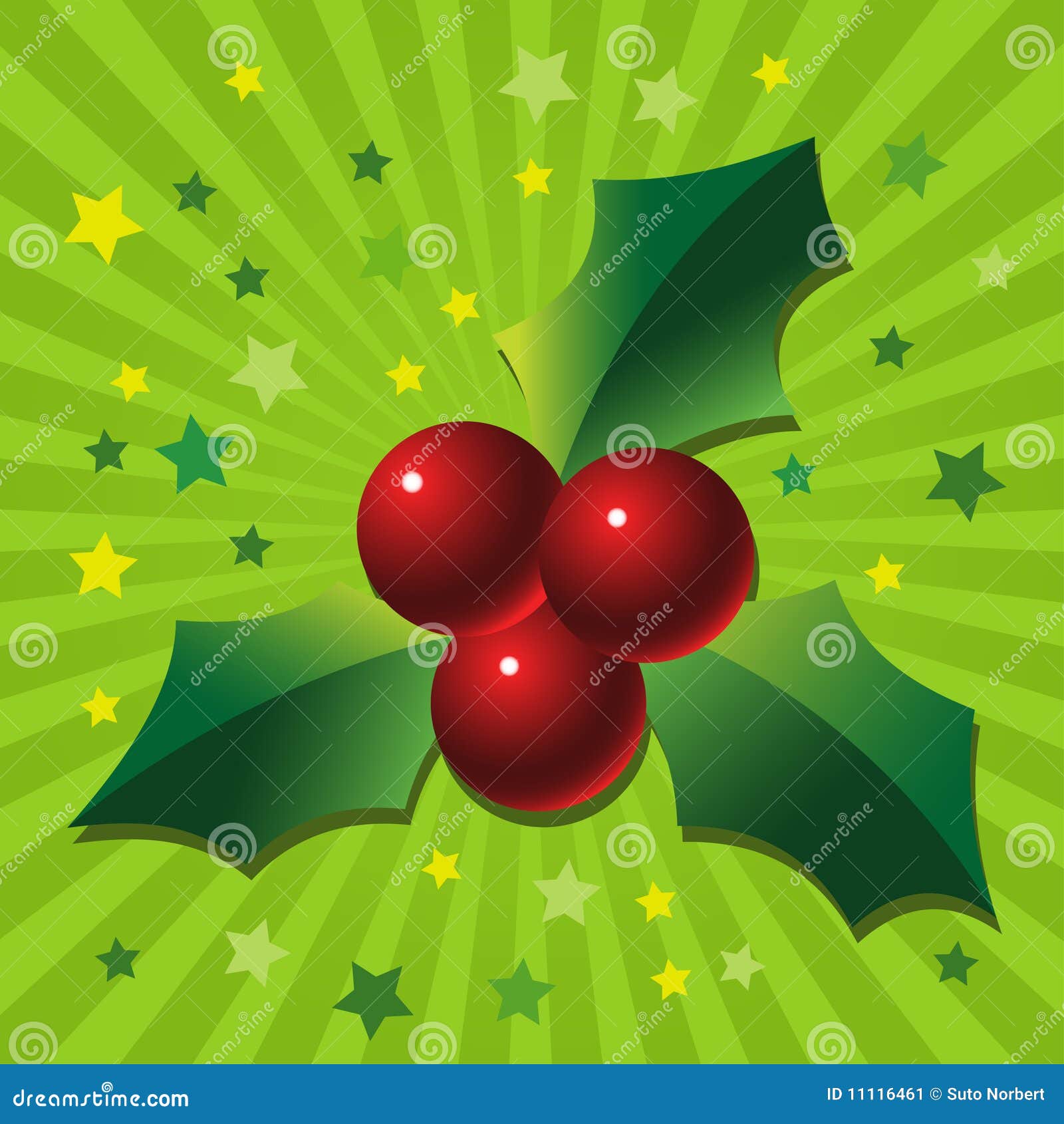 Holly Sprig Picture. Image: 11116461