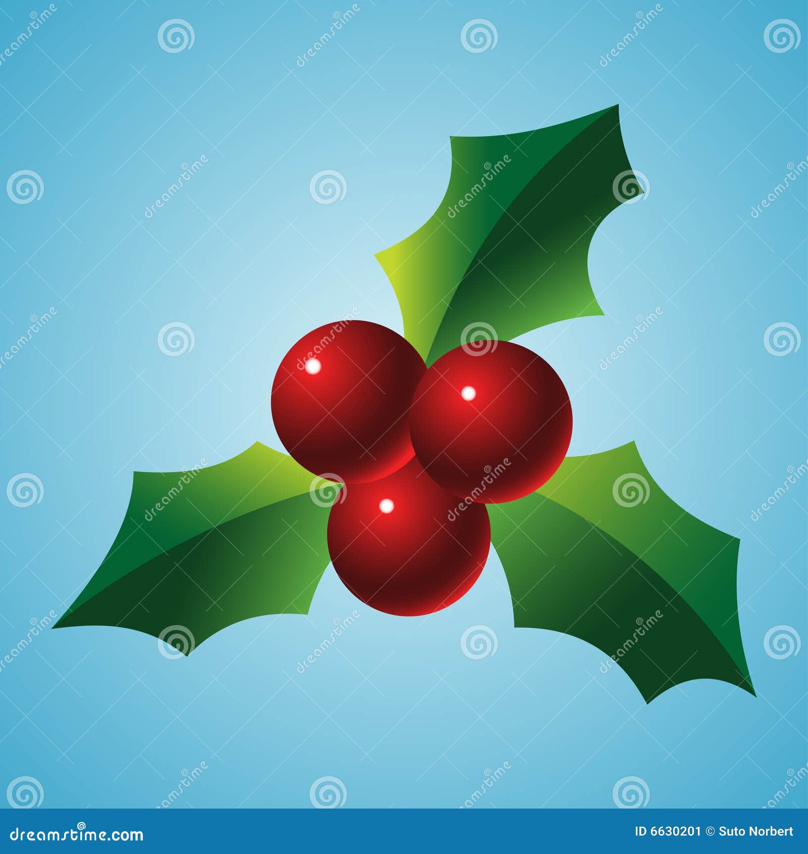 Holly sprig stock vector. Illustration of decoration, clip - 6630201