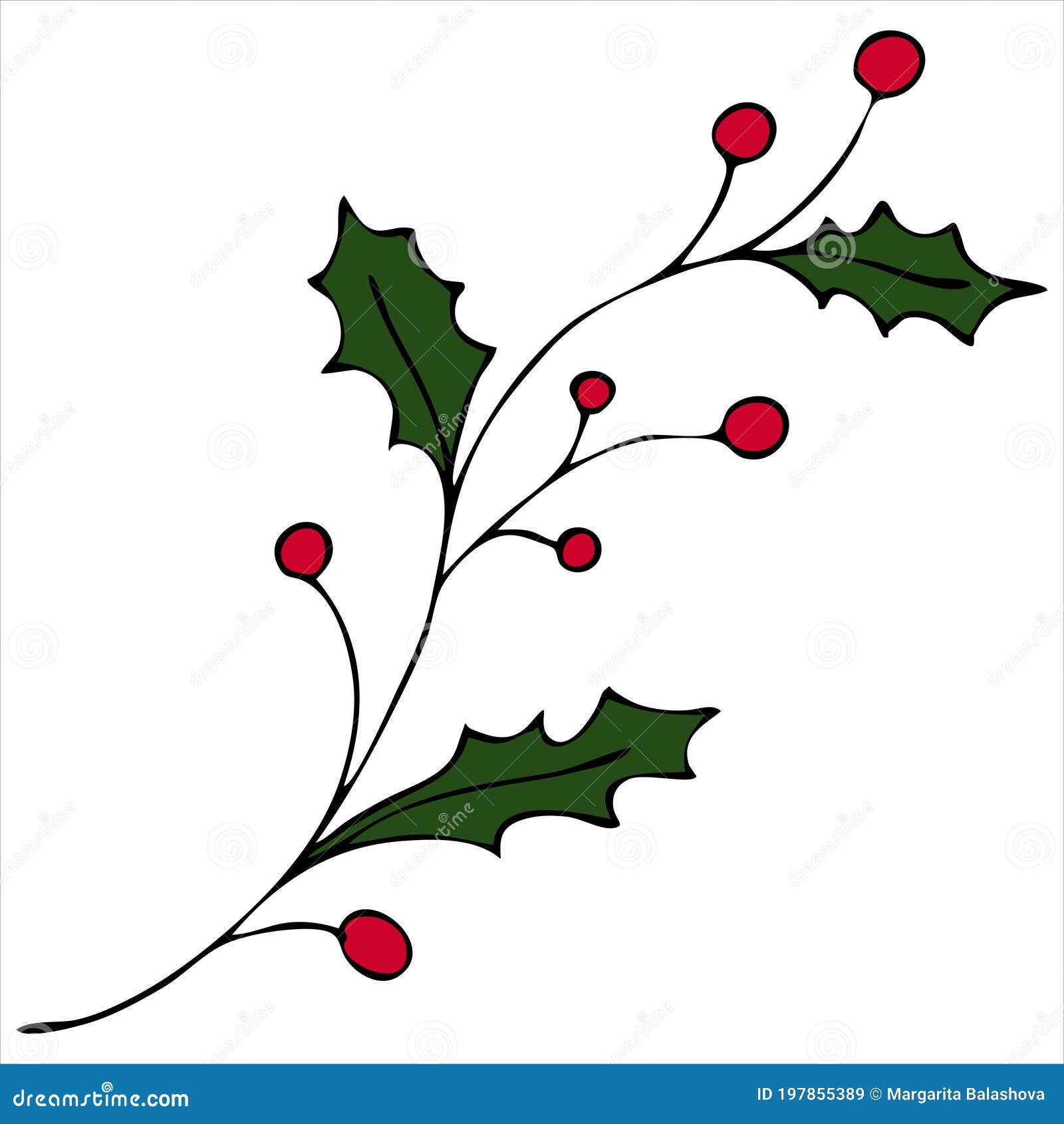 Holly Sprig with Berries, Doodle Style Vector Element Stock Vector ...