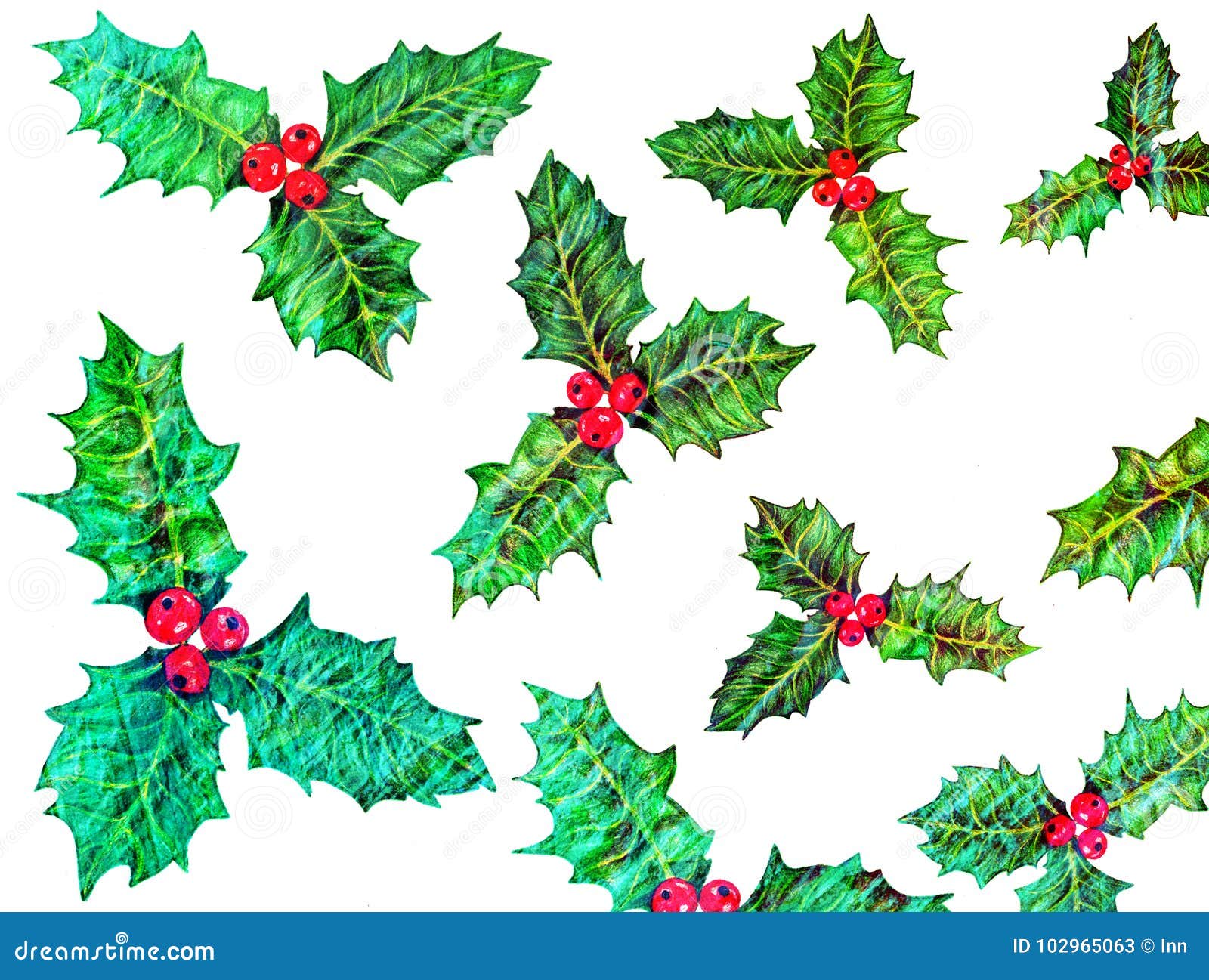 Holly Tree Leaves Abstract Background Stock Illustration - Illustration ...