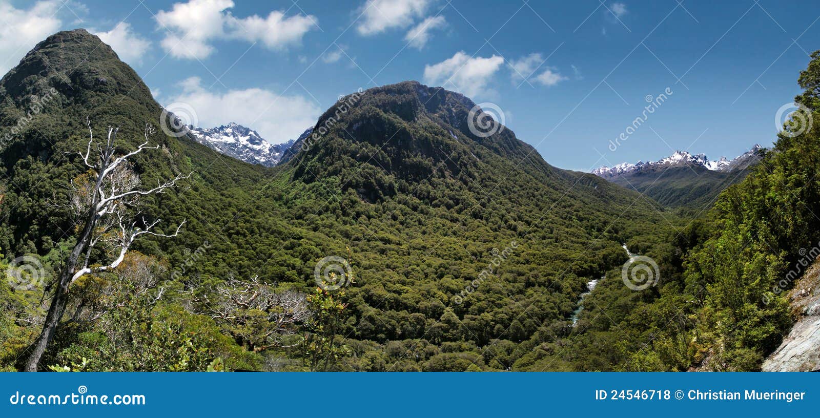 Hollyford Valley Lookout (Pops View) Stock Photo - Image of natural ...