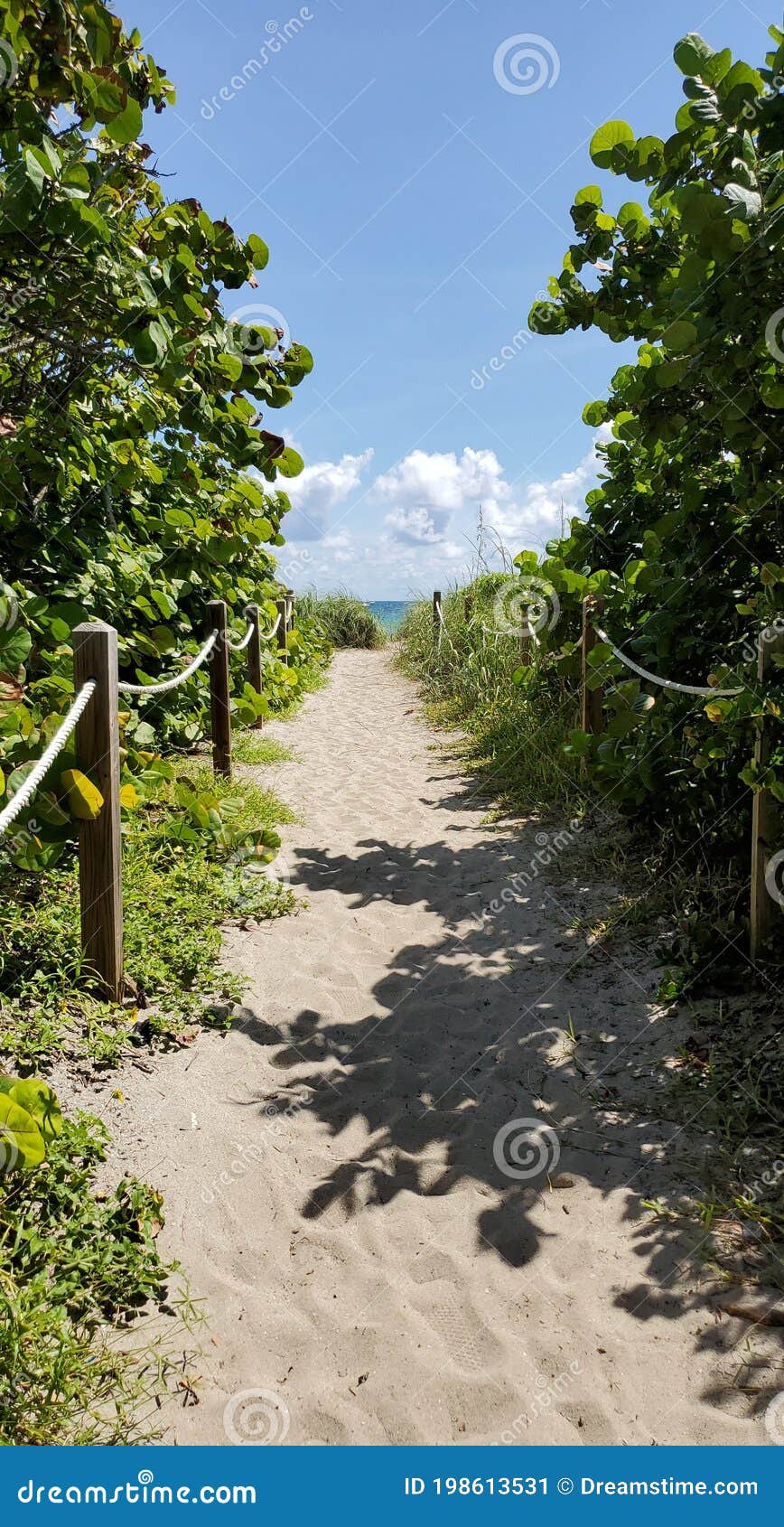 Hollywood Beach Florida Sandy Pathway Stock Image - Image of florida ...