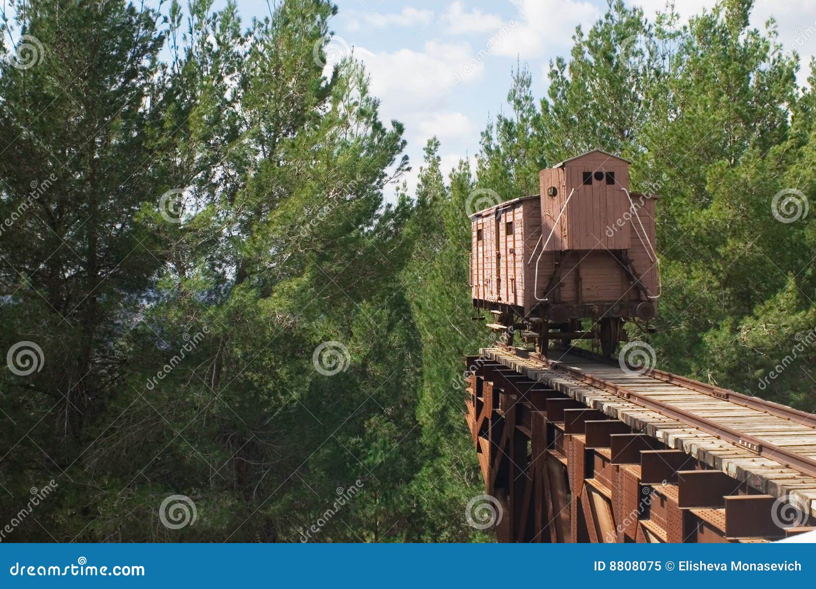Holocaust train editorial image. Image of shoah, death - 8808075