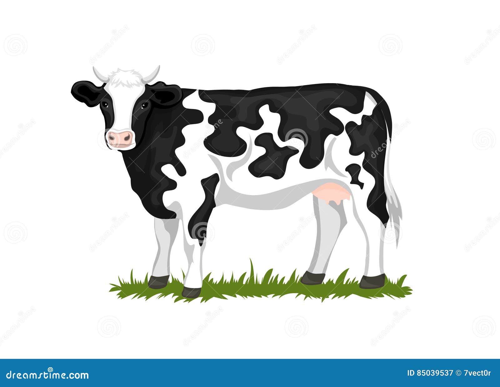Holstein Cow In Grass Vector Illustration | CartoonDealer.com #27126284