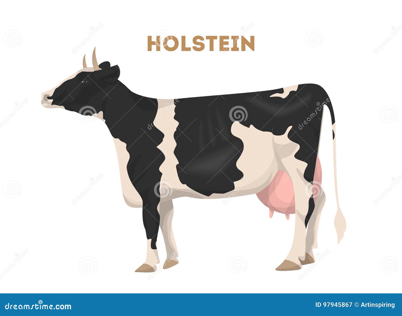 Holstein cattle. stock vector. Illustration of animal - 97945867
