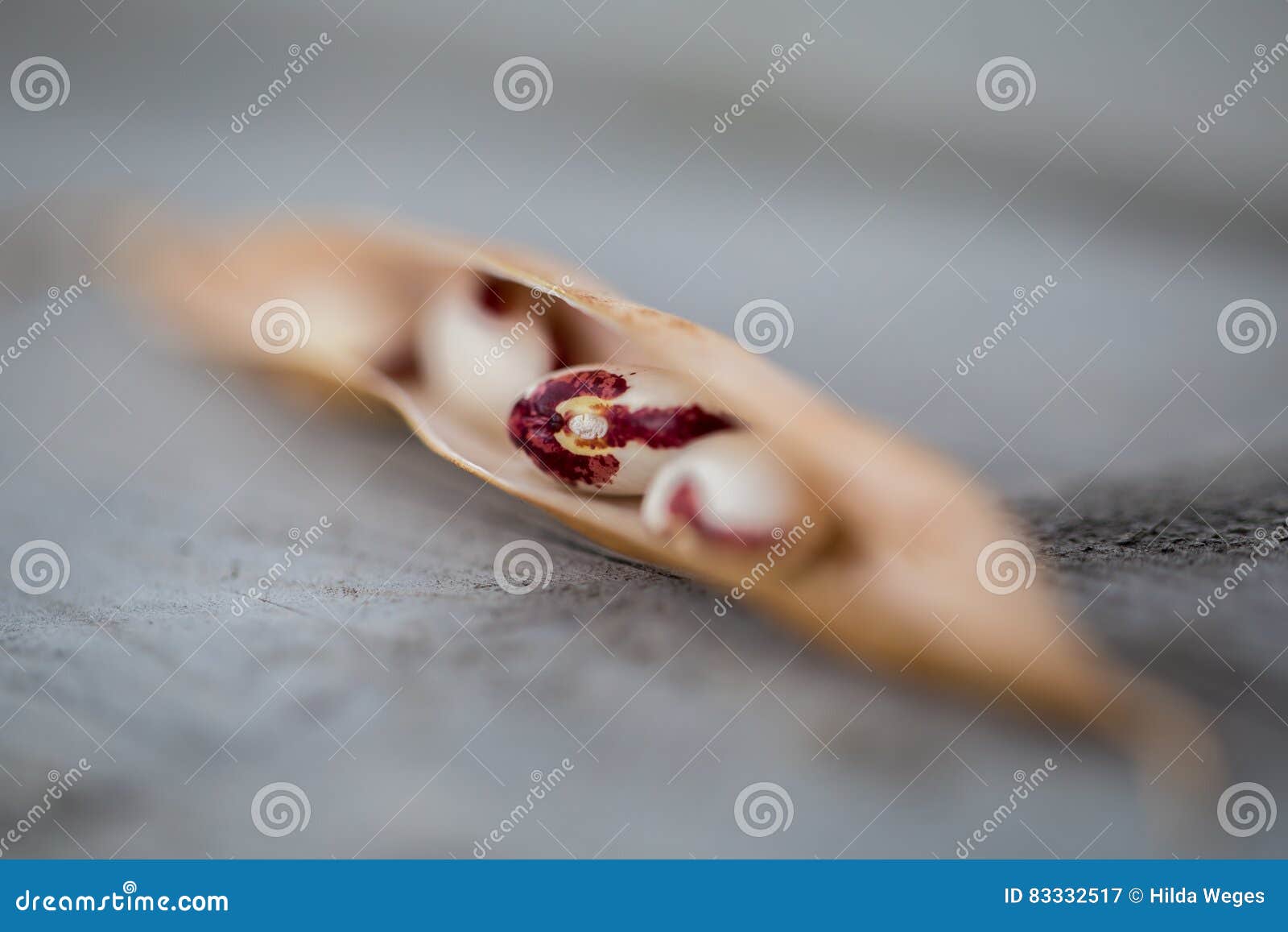 Holy bean stock image. Image of health, meal, cuisine - 83332517