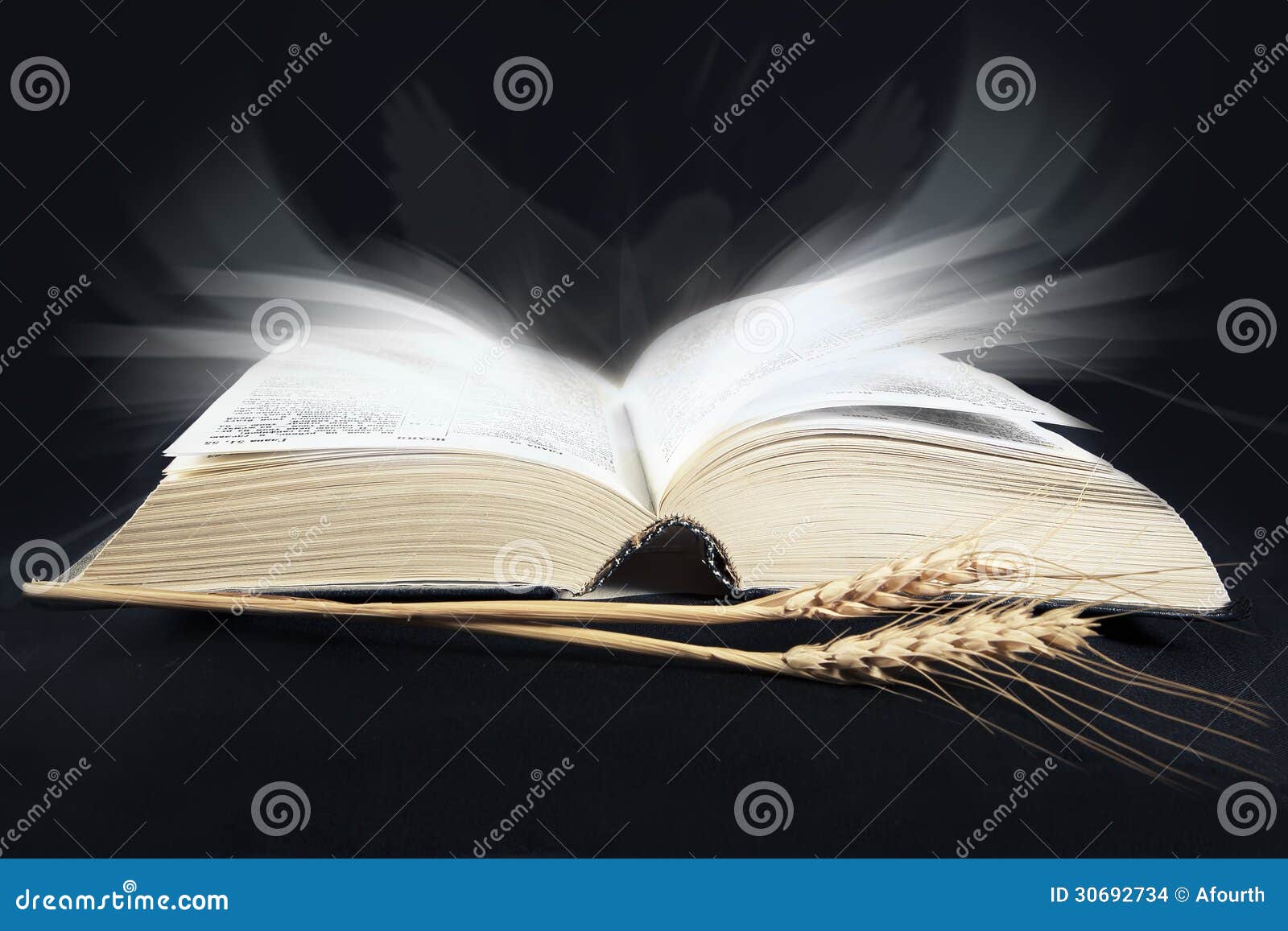 Holy Bible on the black stock photo. Image of illuminated - 30692734