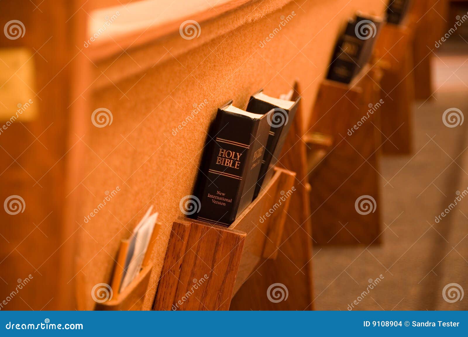 Holy Bible in a pew stock photo. Image of religious, faith - 9108904