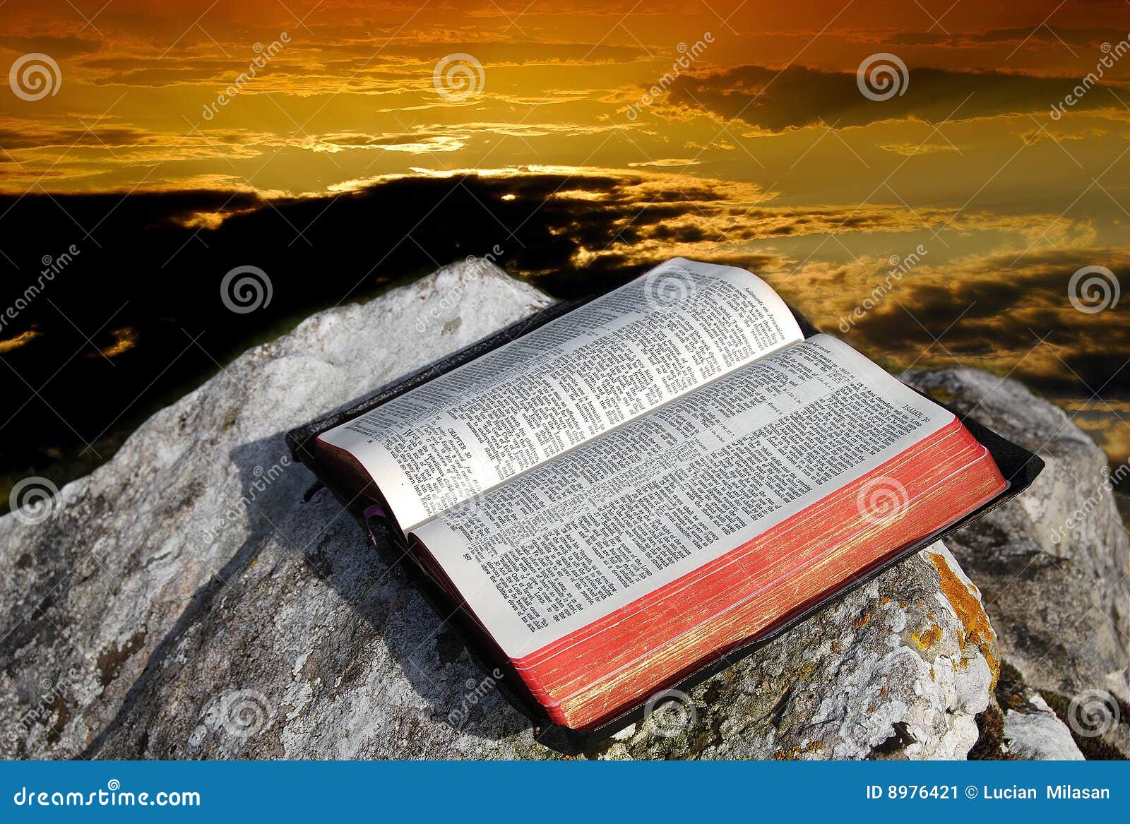 Bible On A Rock Royalty-Free Stock Photo | CartoonDealer.com #8711649